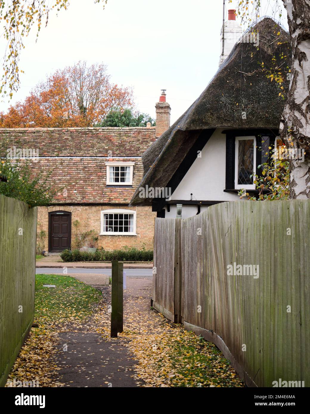 A vertical shot of beautiful thatched cottage in Hemingford Grey ...