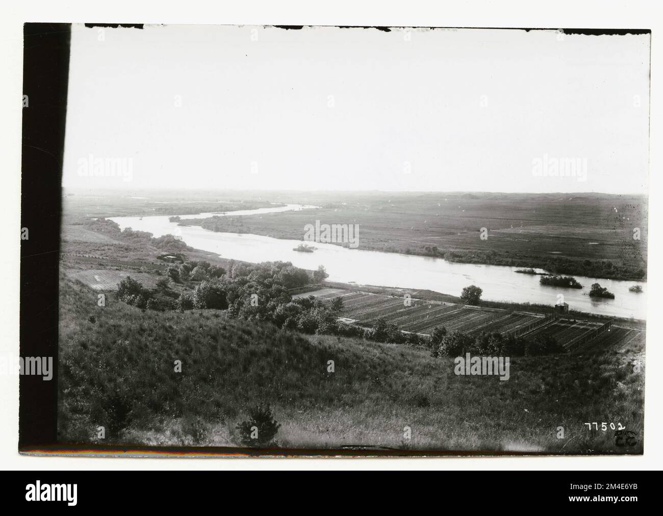 Tree Nurseries: Improvements. Photographs Relating to National Forests ...