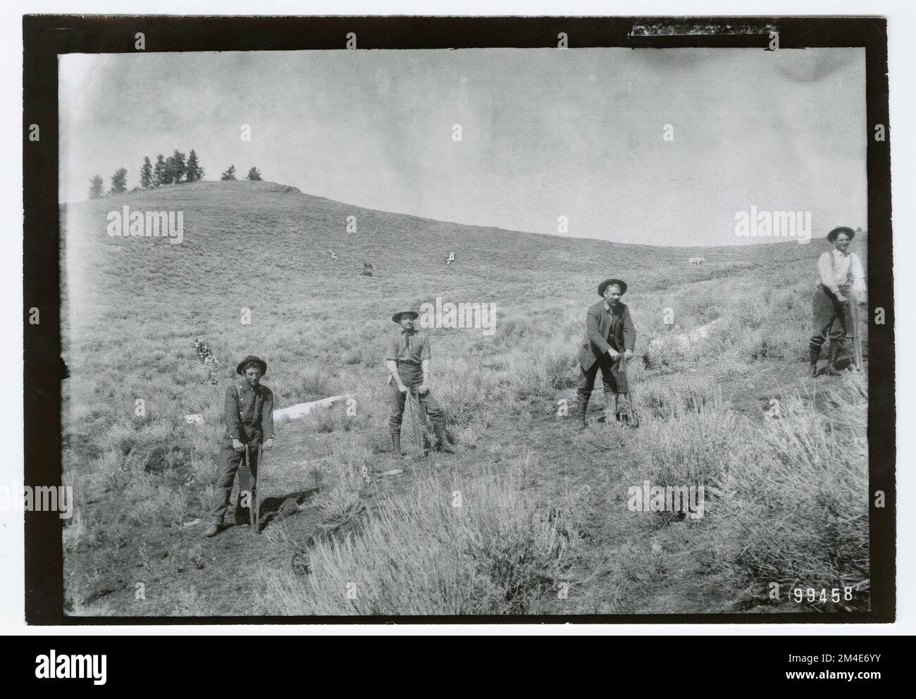Tree Planting: Hand. Photographs Relating to National Forests, Resource ...