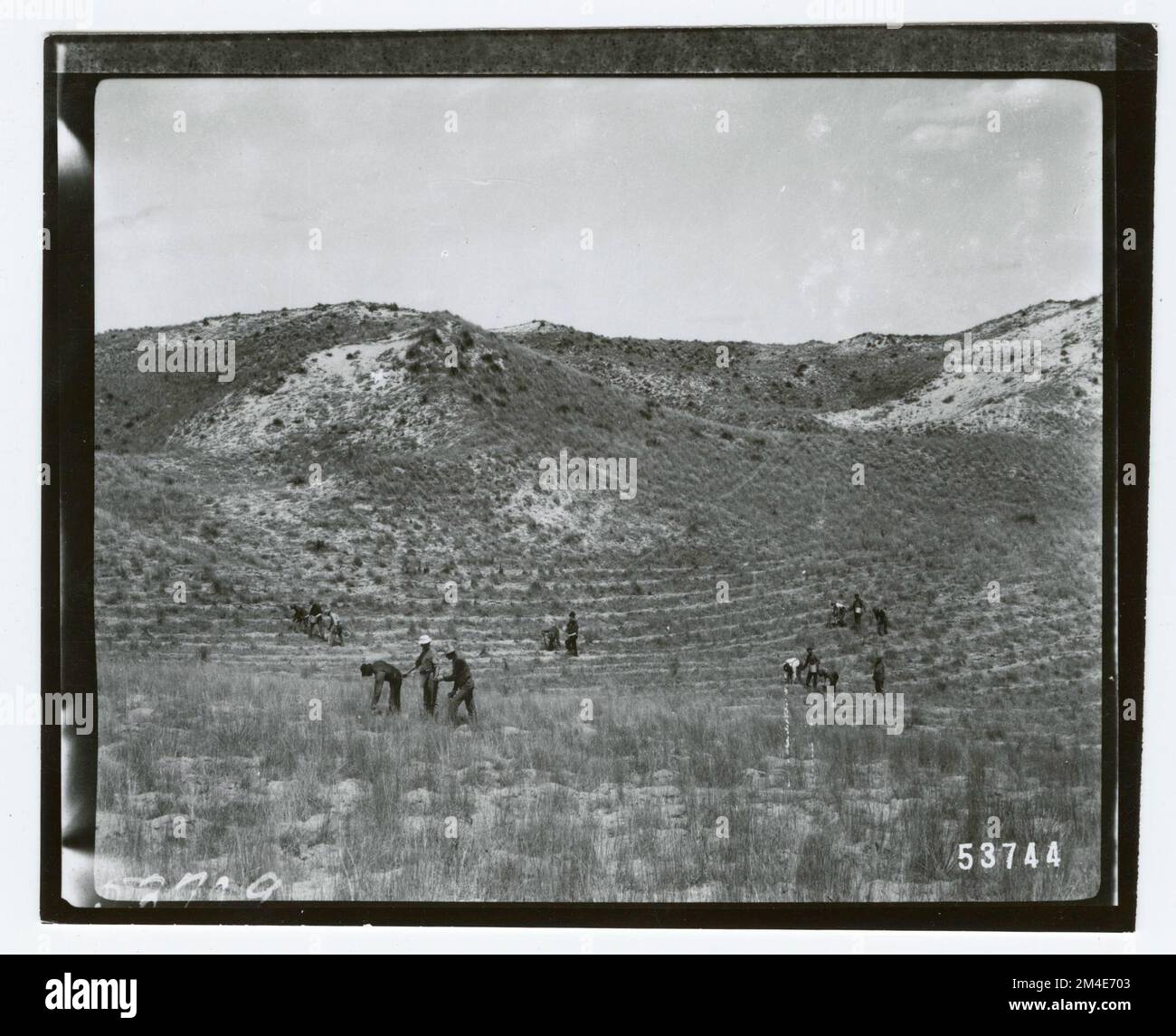 Tree Planting: Hand. Photographs Relating to National Forests, Resource ...