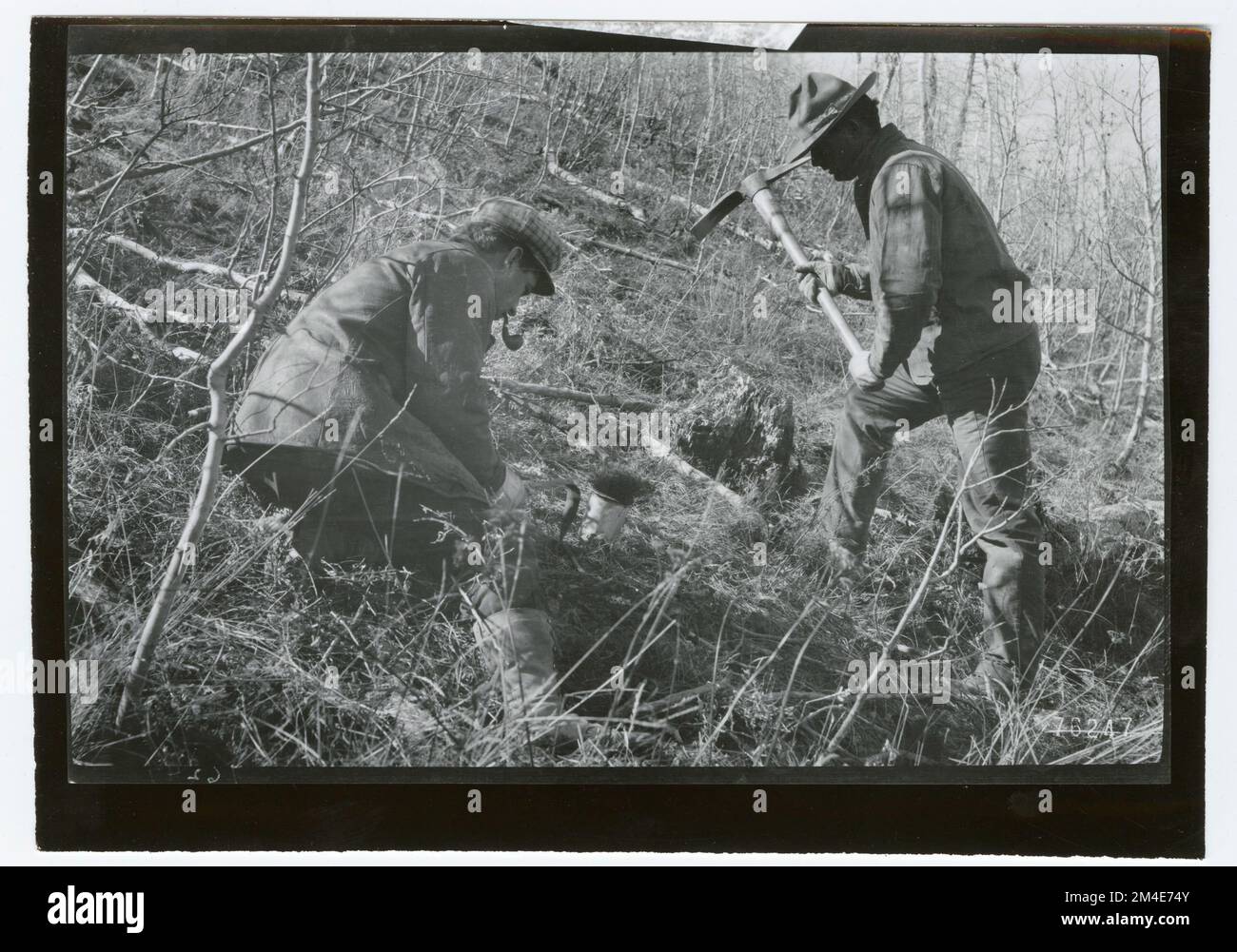 Tree Planting: Hand. Photographs Relating to National Forests, Resource ...