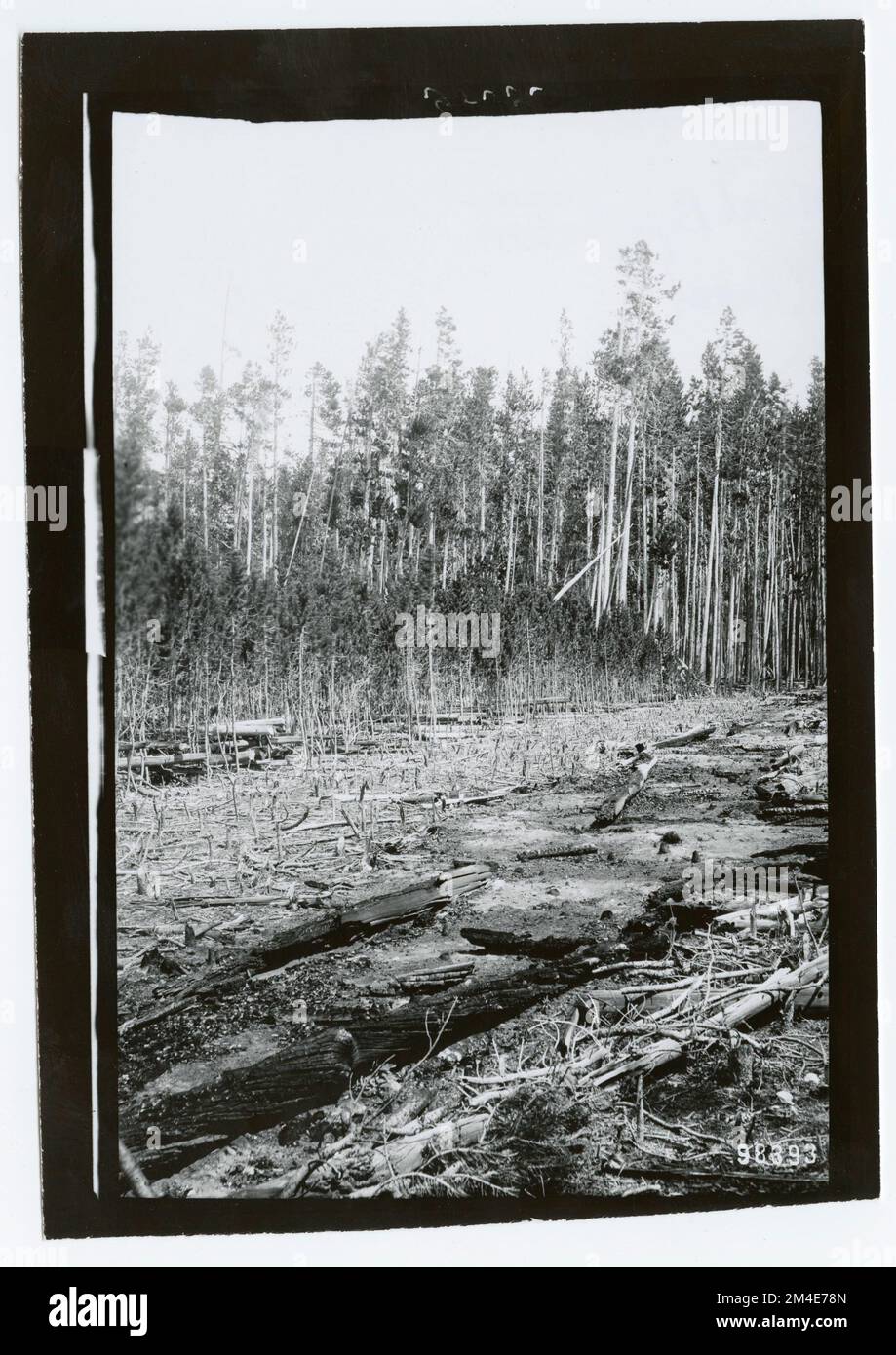 Natural Reproduction - General. Photographs Relating to National ...