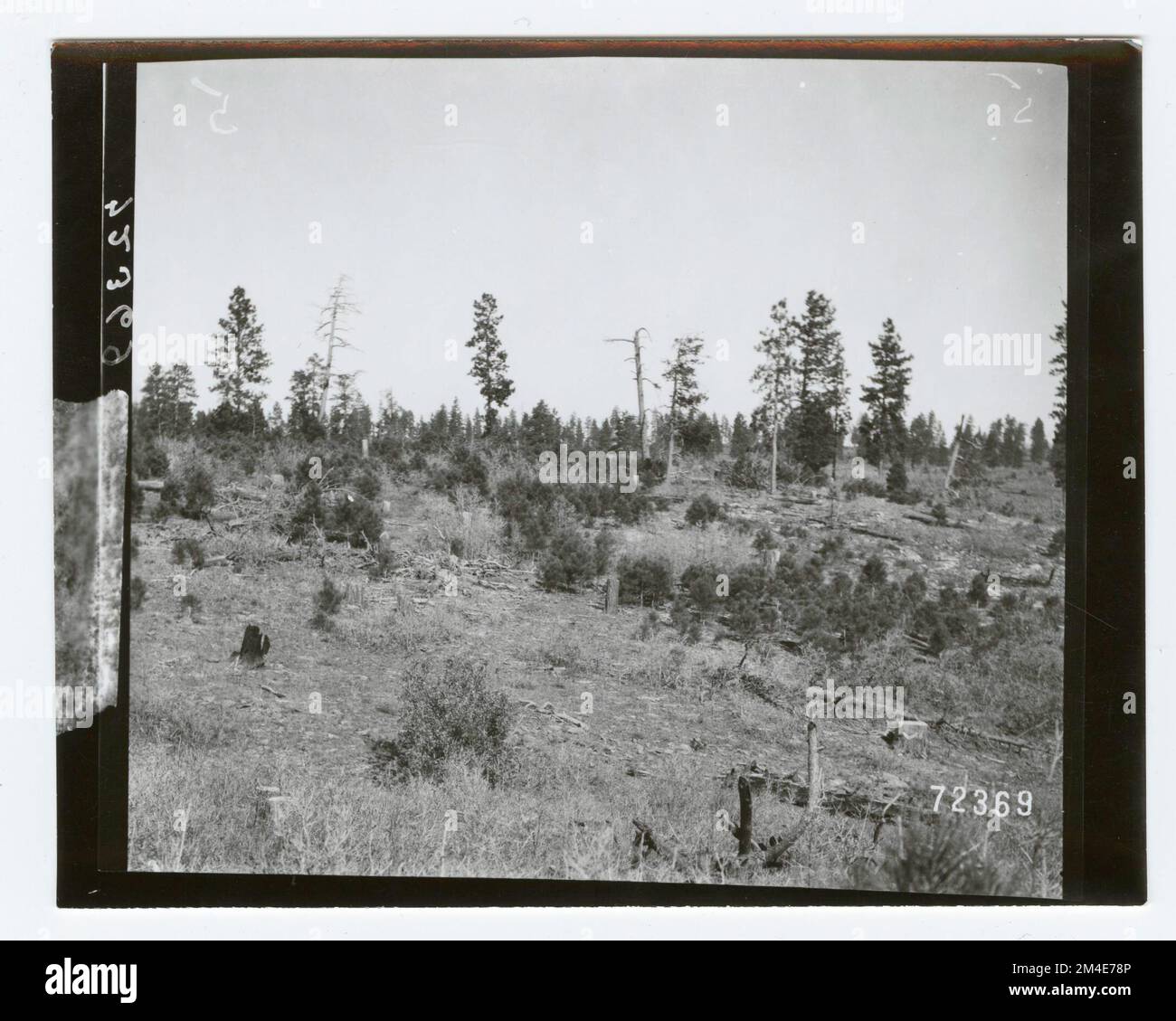 Natural Reproduction - General. Photographs Relating to National ...