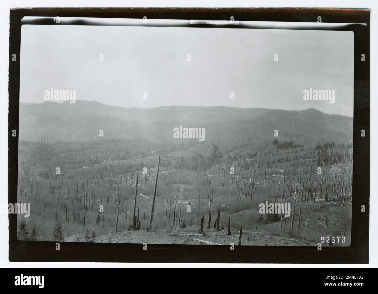 Natural Reproduction - General. Photographs Relating to National ...