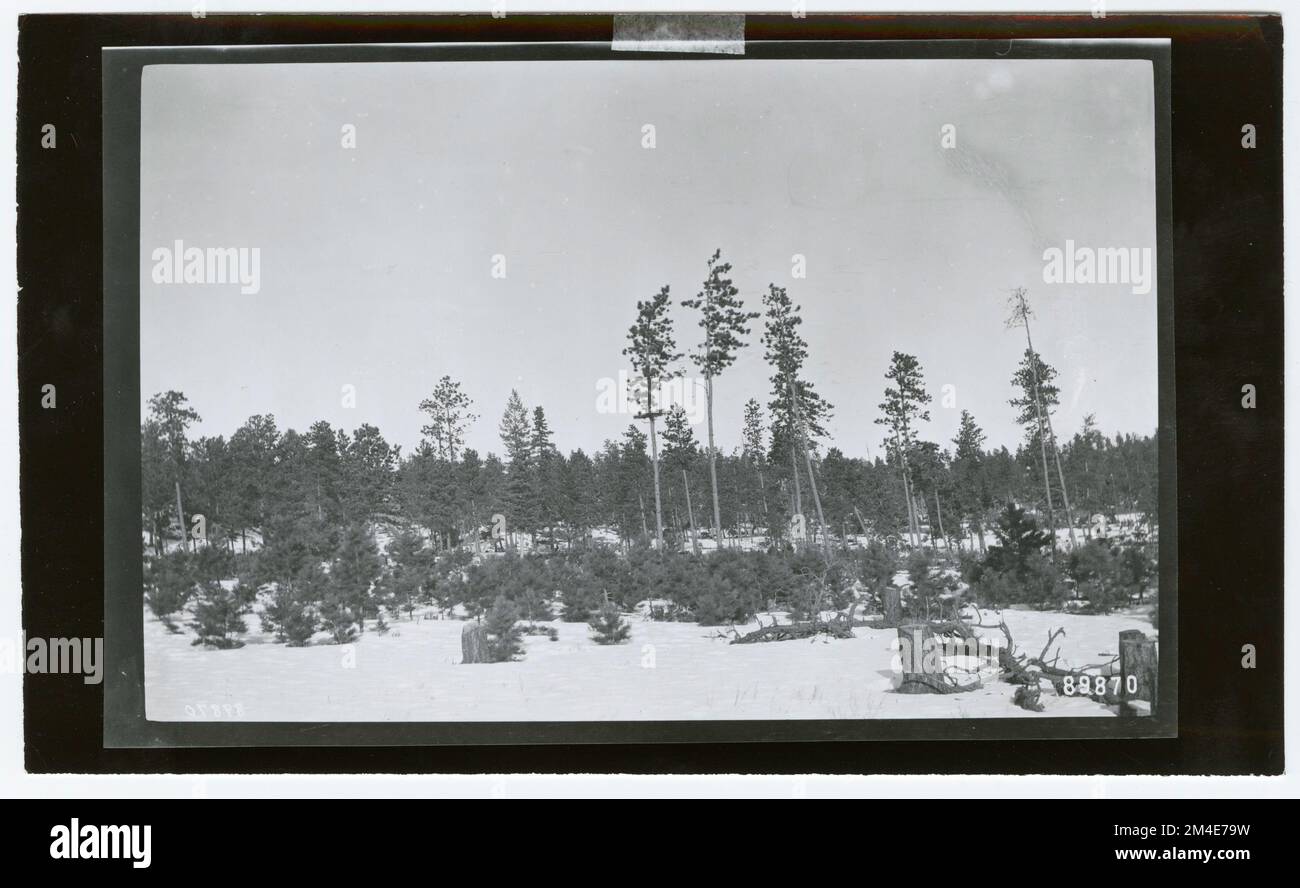 Natural Reproduction - General. Photographs Relating to National ...