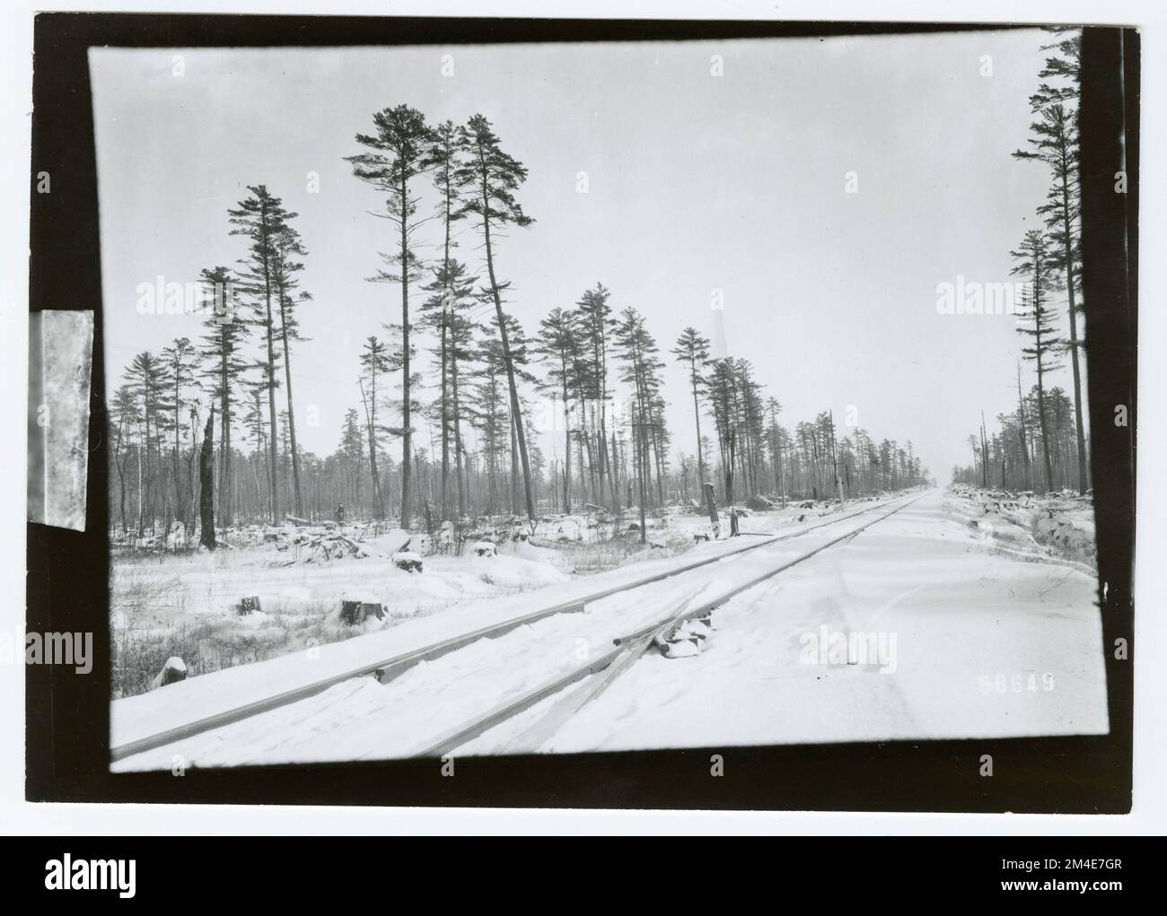 Partial Cutting - Seed Tree Cutting. Photographs Relating to National ...