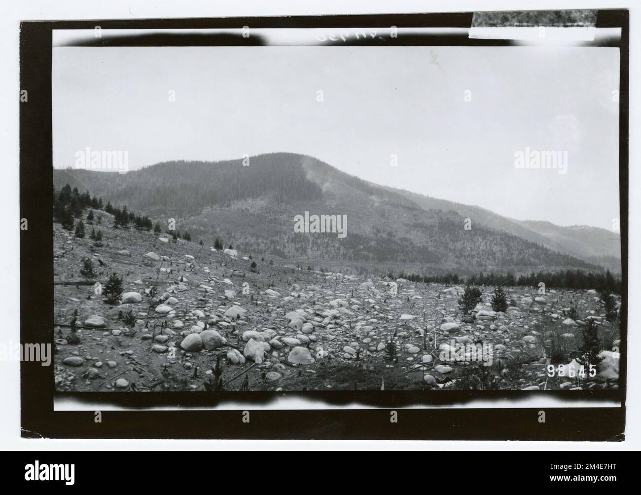 Partial Cutting - Sanitation Cutting. Photographs Relating to National ...