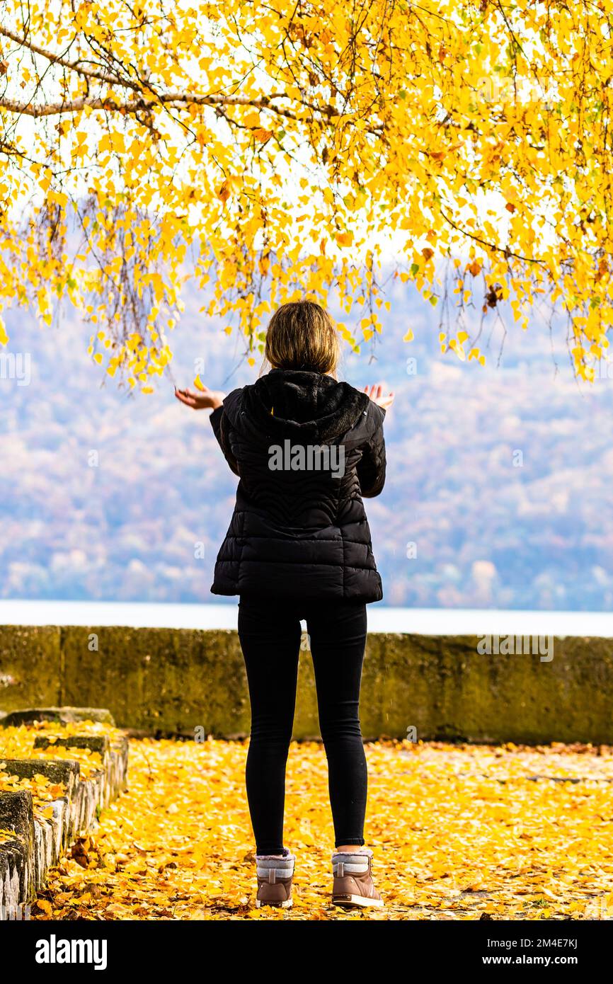 Autumn leaves fallen on alone woman walking on the autumn alley Stock ...