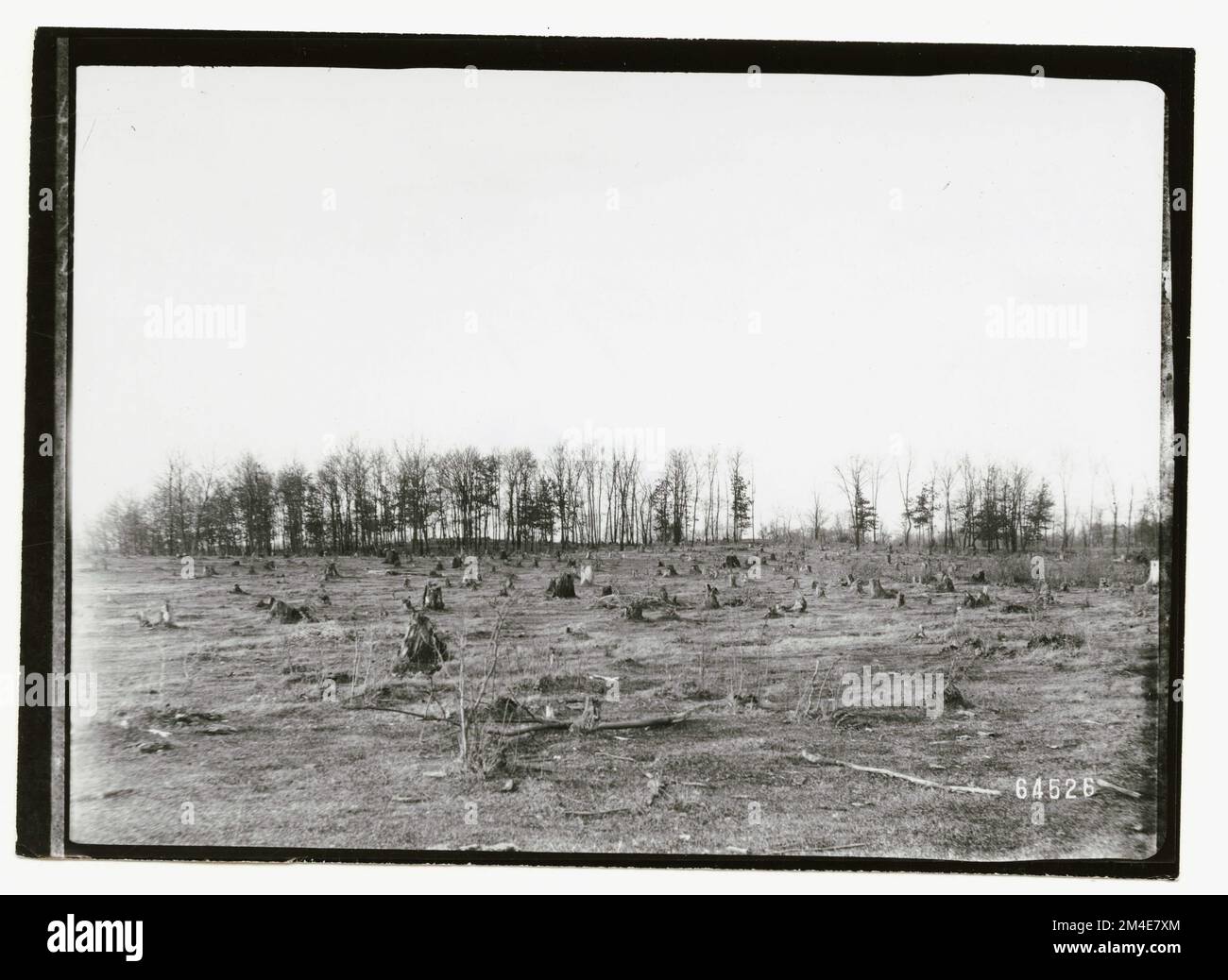 Cut Over Areas: General. Photographs Relating to National Forests ...