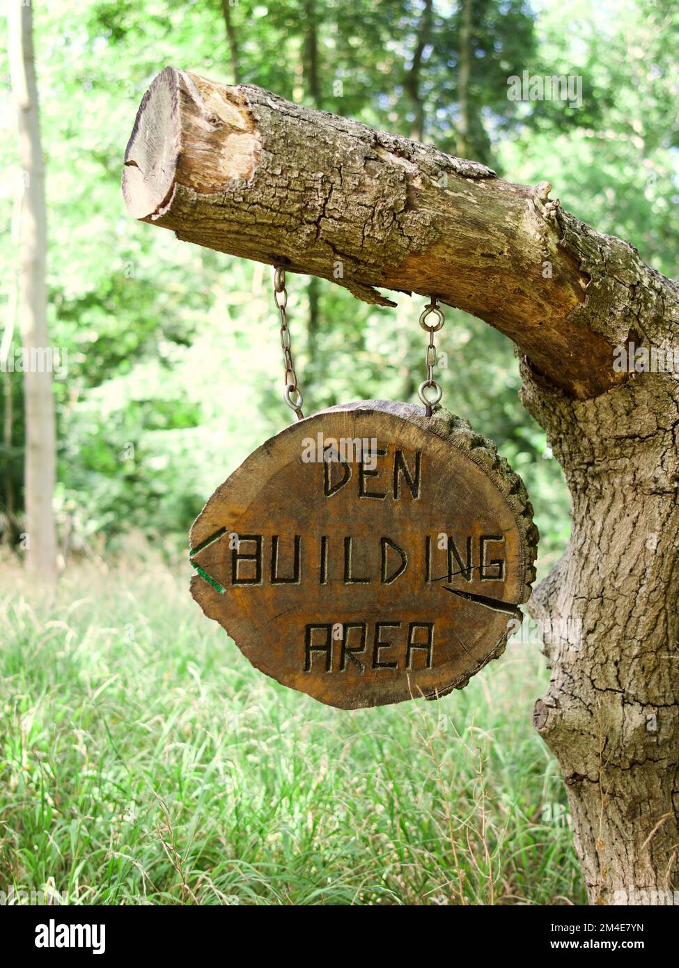 Den building forest hi-res stock photography and images - Alamy