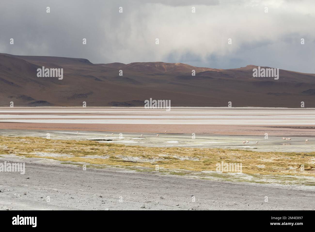 landscape in the day of a lake, sky horizon with clouds and plain ...