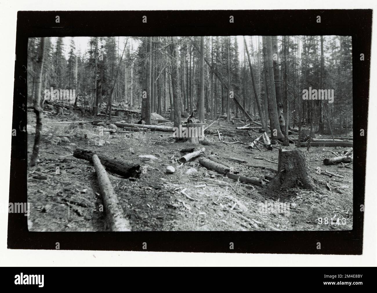 Slash Disposal: Piling & Burning. Photographs Relating to National ...