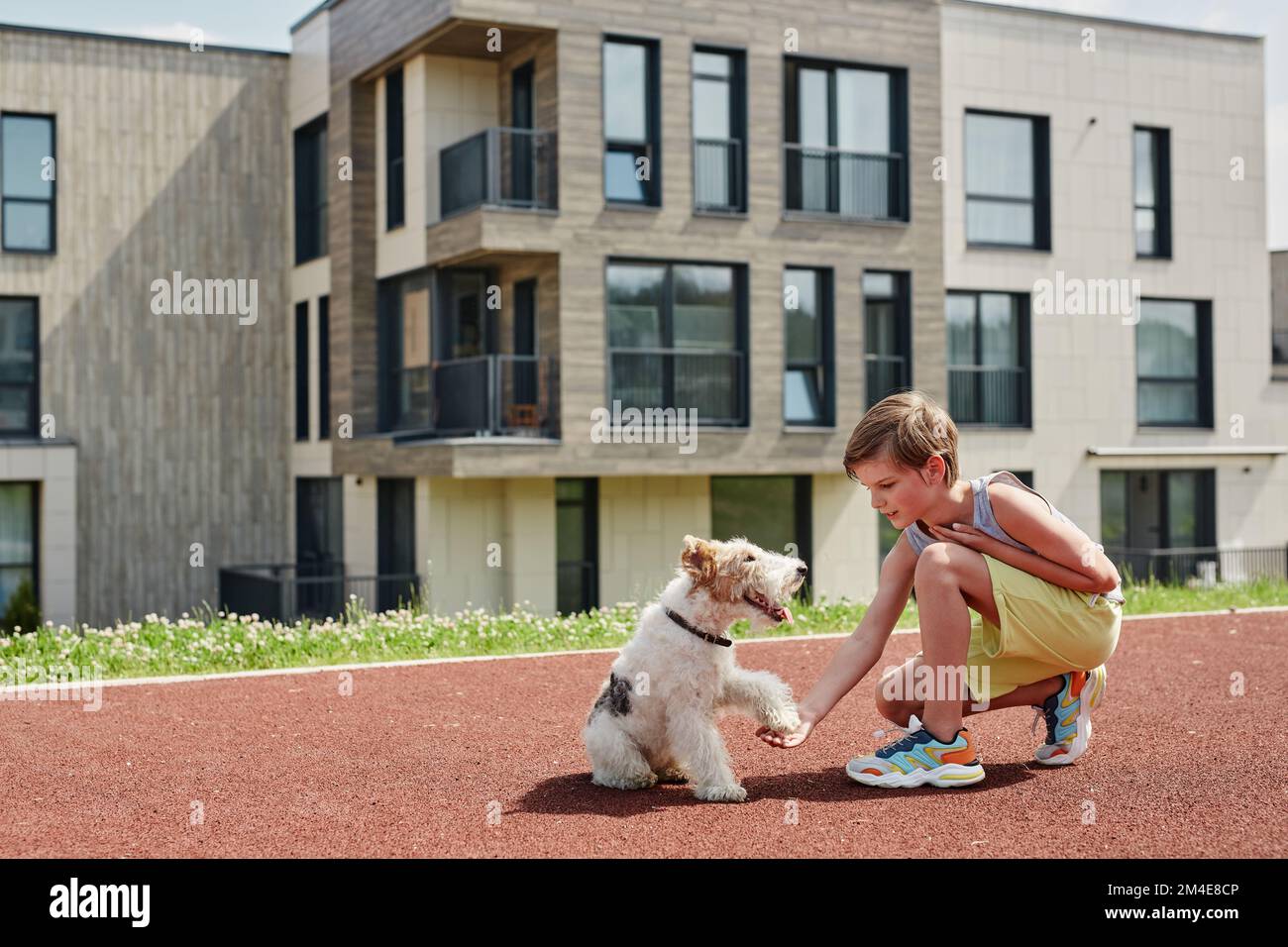 Side view portrait of little boy playing with cute dog in sunlight and ...