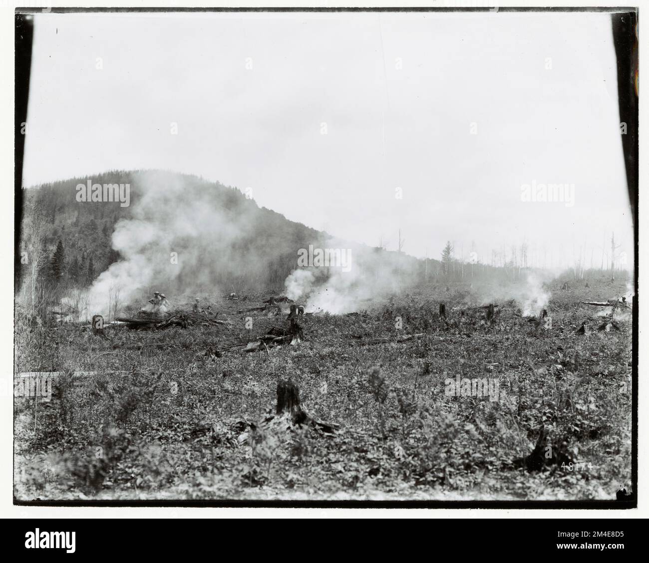 Slash Disposal: Piling & Burning. Photographs Relating to National ...
