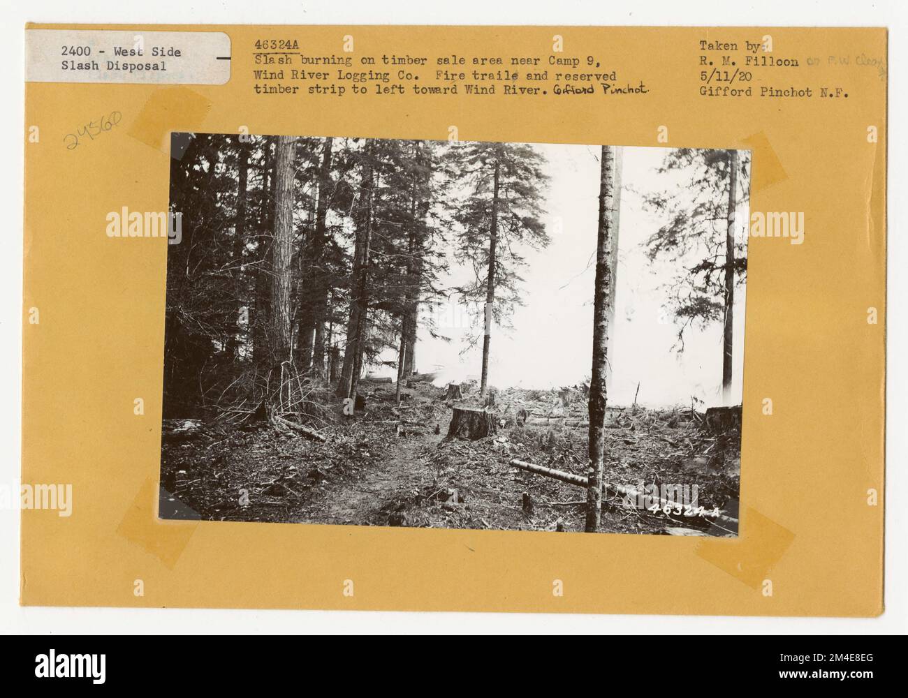 Slash Disposal: General. Photographs Relating to National Forests ...