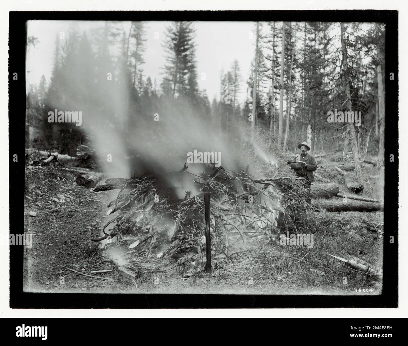 Slash Disposal: Piling & Burning. Photographs Relating to National ...