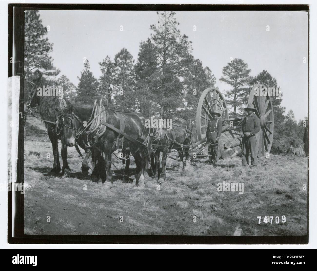 Slash Disposal: Piling & Burning. Photographs Relating to National ...