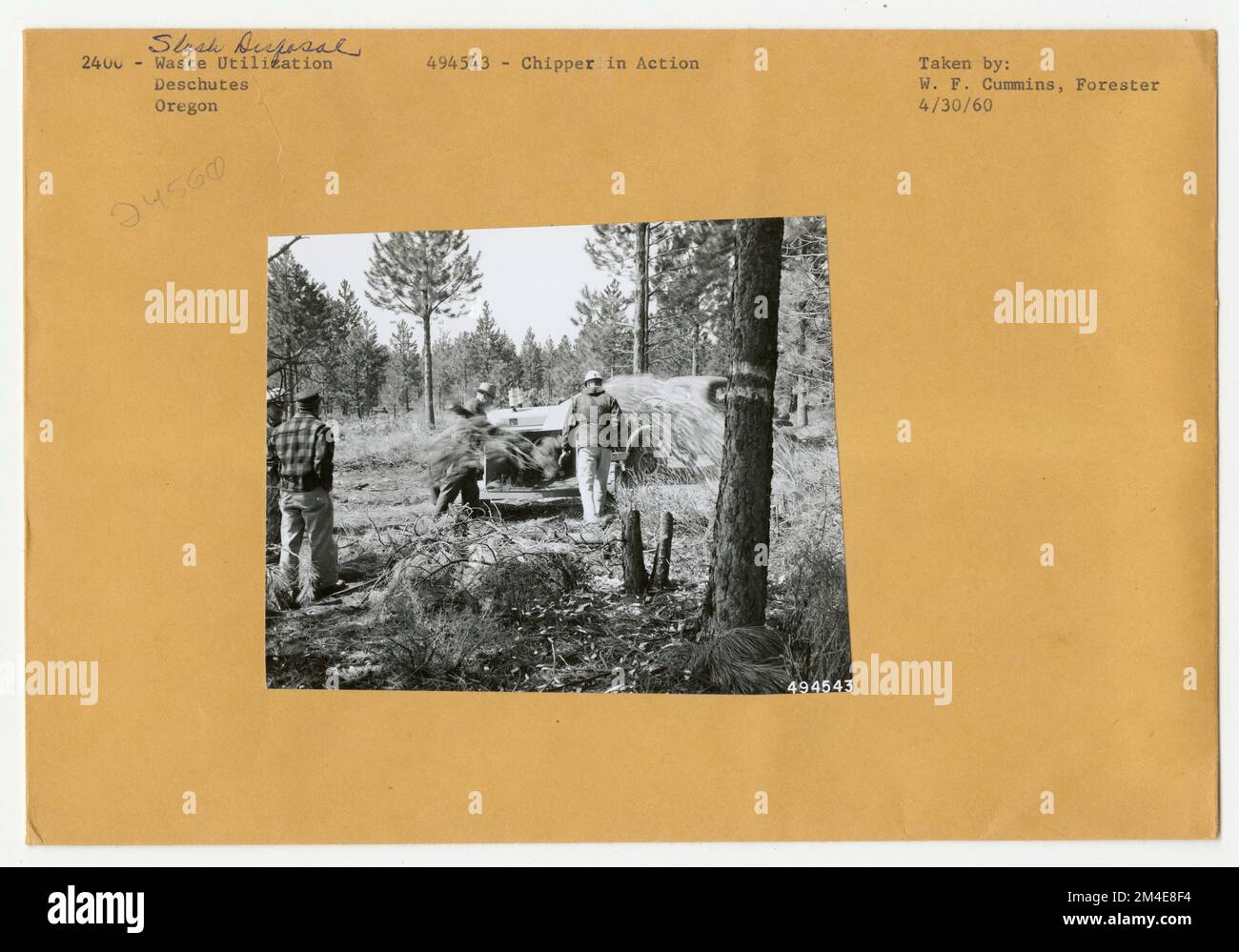 Scaling Logs: At the Mill. Photographs Relating to National Forests ...