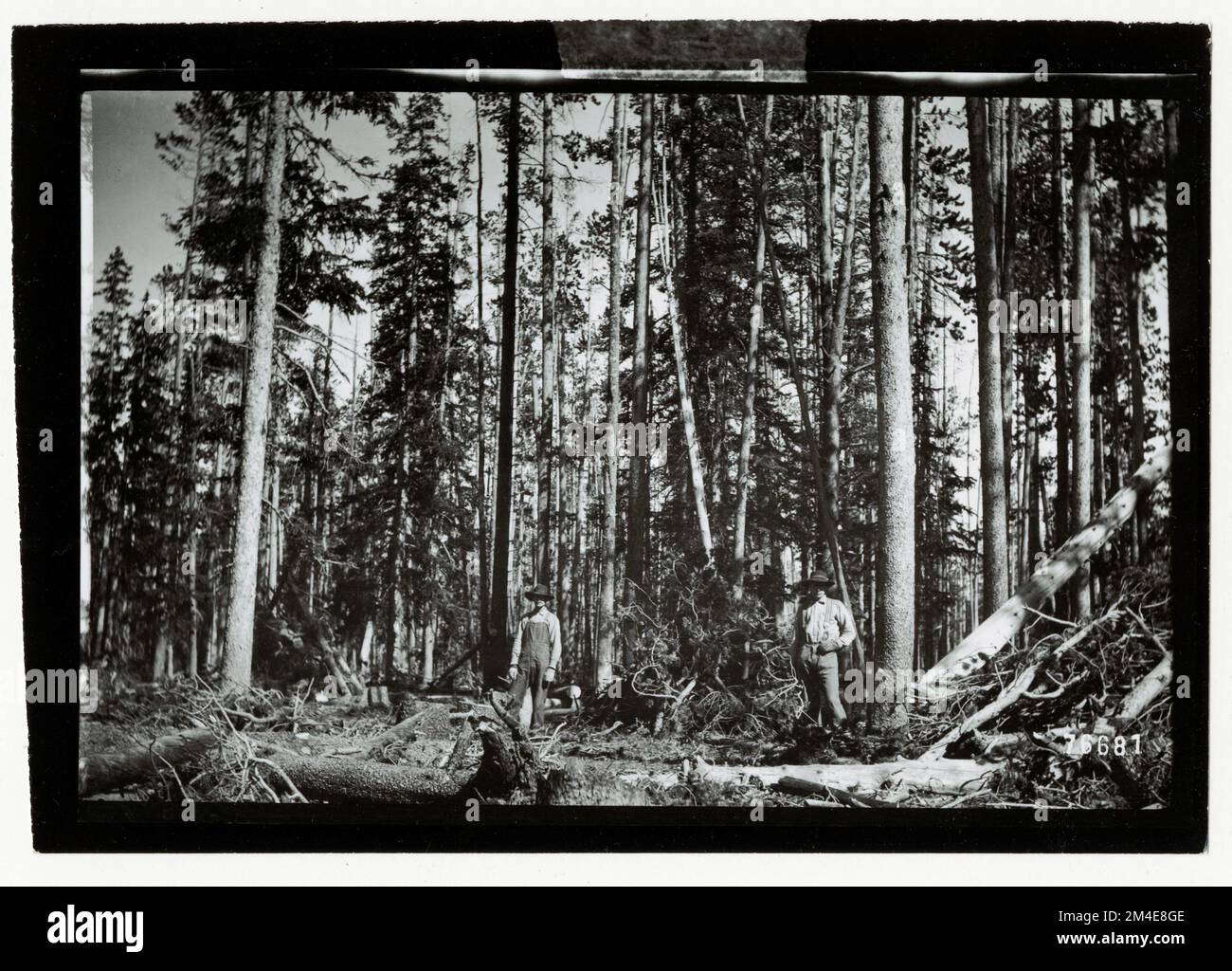Slash Disposal: Piling & Burning. Photographs Relating to National ...