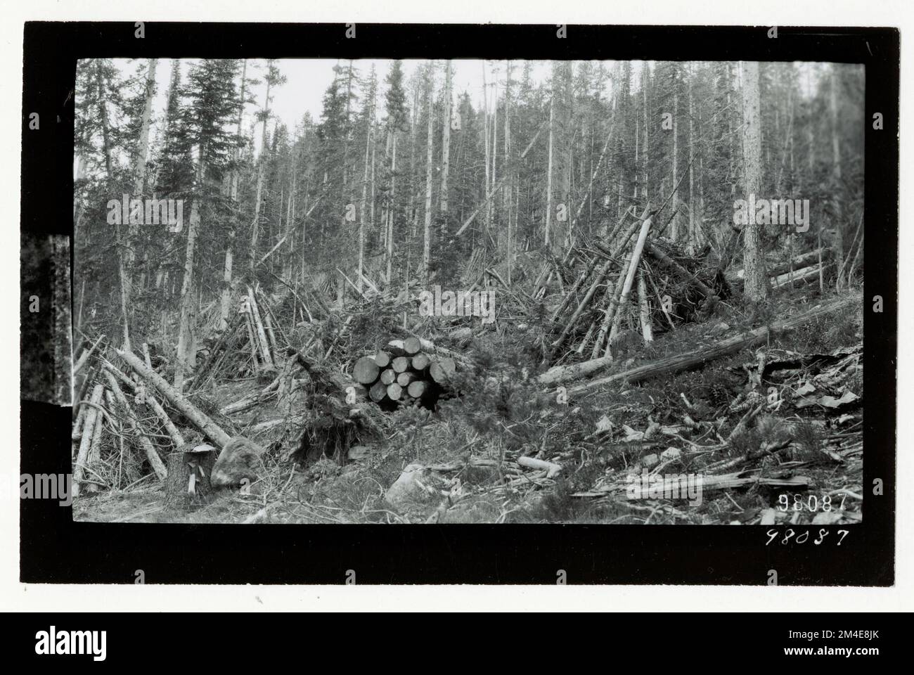 Slash Disposal: Piling & Burning. Photographs Relating to National ...