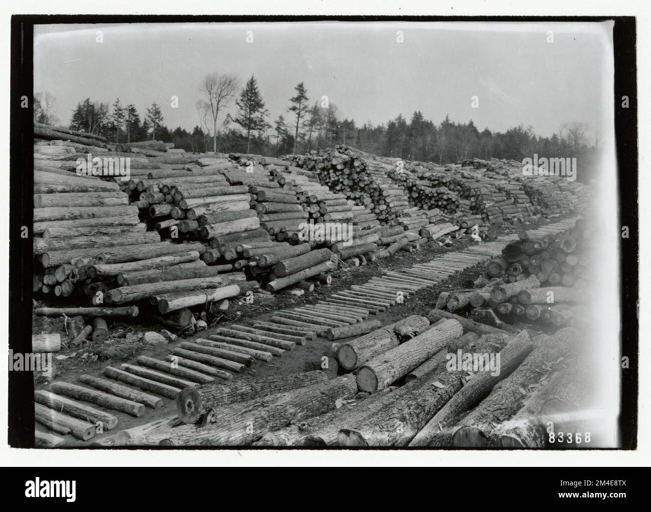 Log Transportation: Log Drives. Photographs Relating to National ...