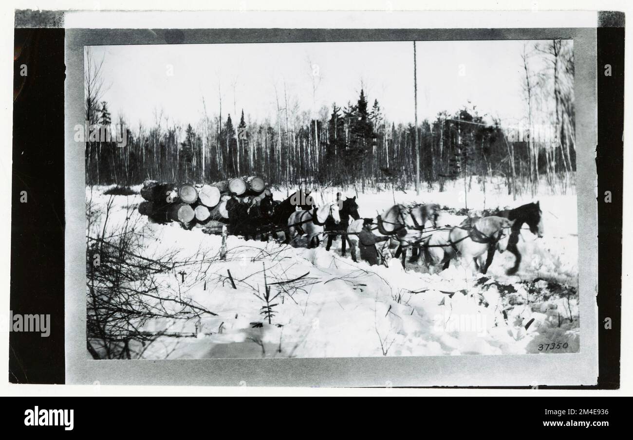 Log Transportation: Sled Hauling. Photographs Relating to National ...
