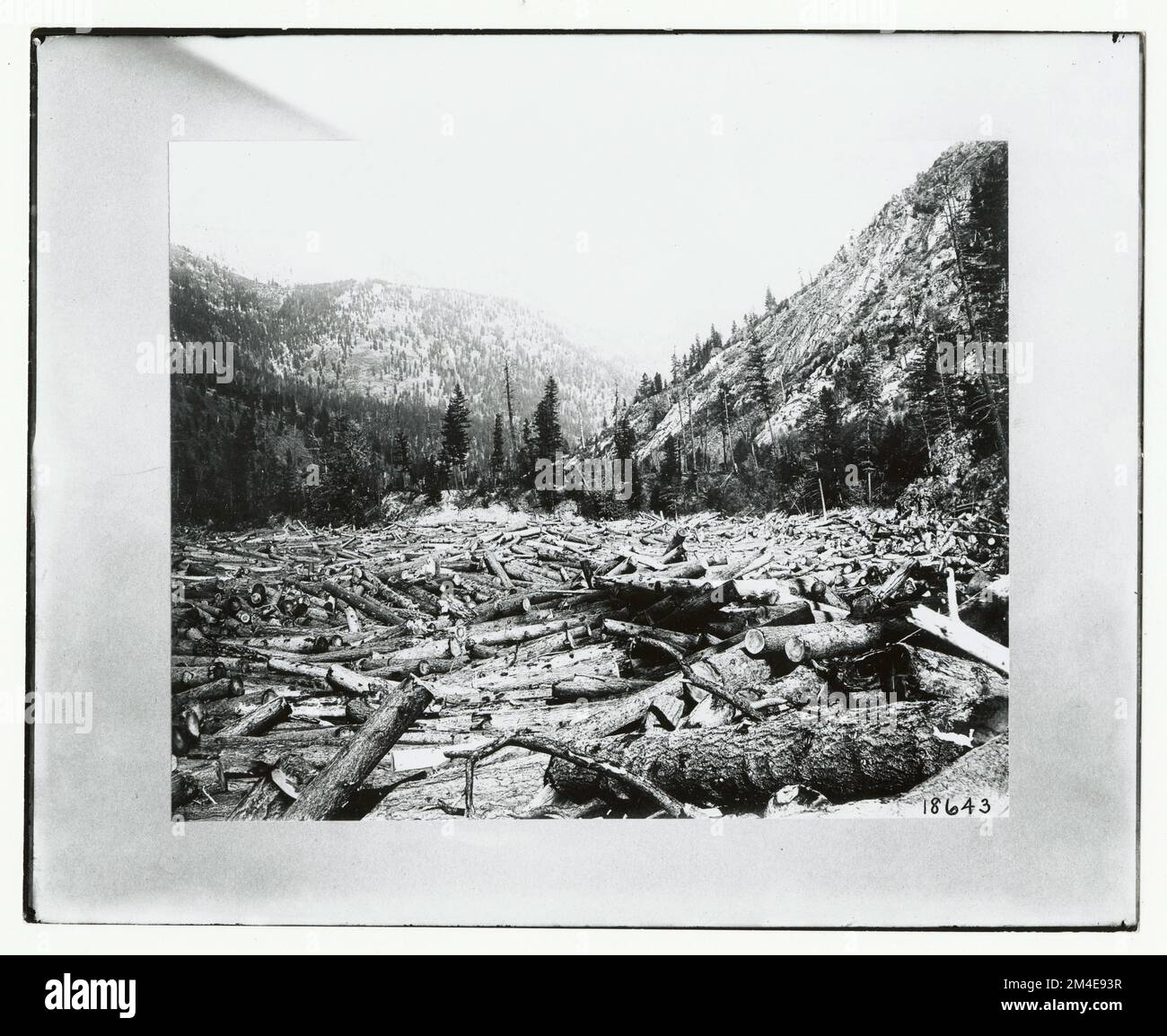 Log Transportation: Fluming. Photographs Relating to National Forests ...