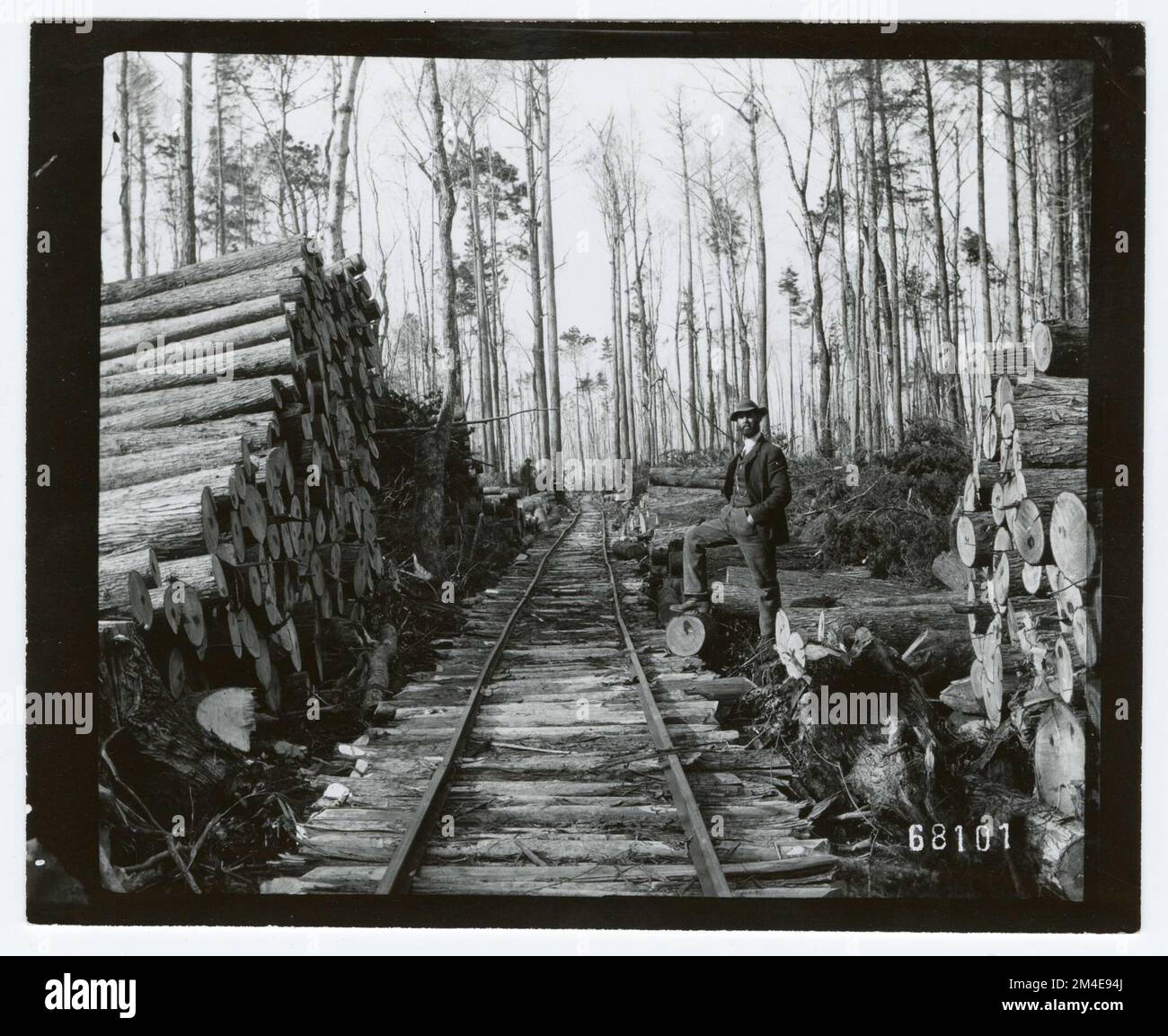 Log Transportation: Logging Railroad. Photographs Relating to National ...
