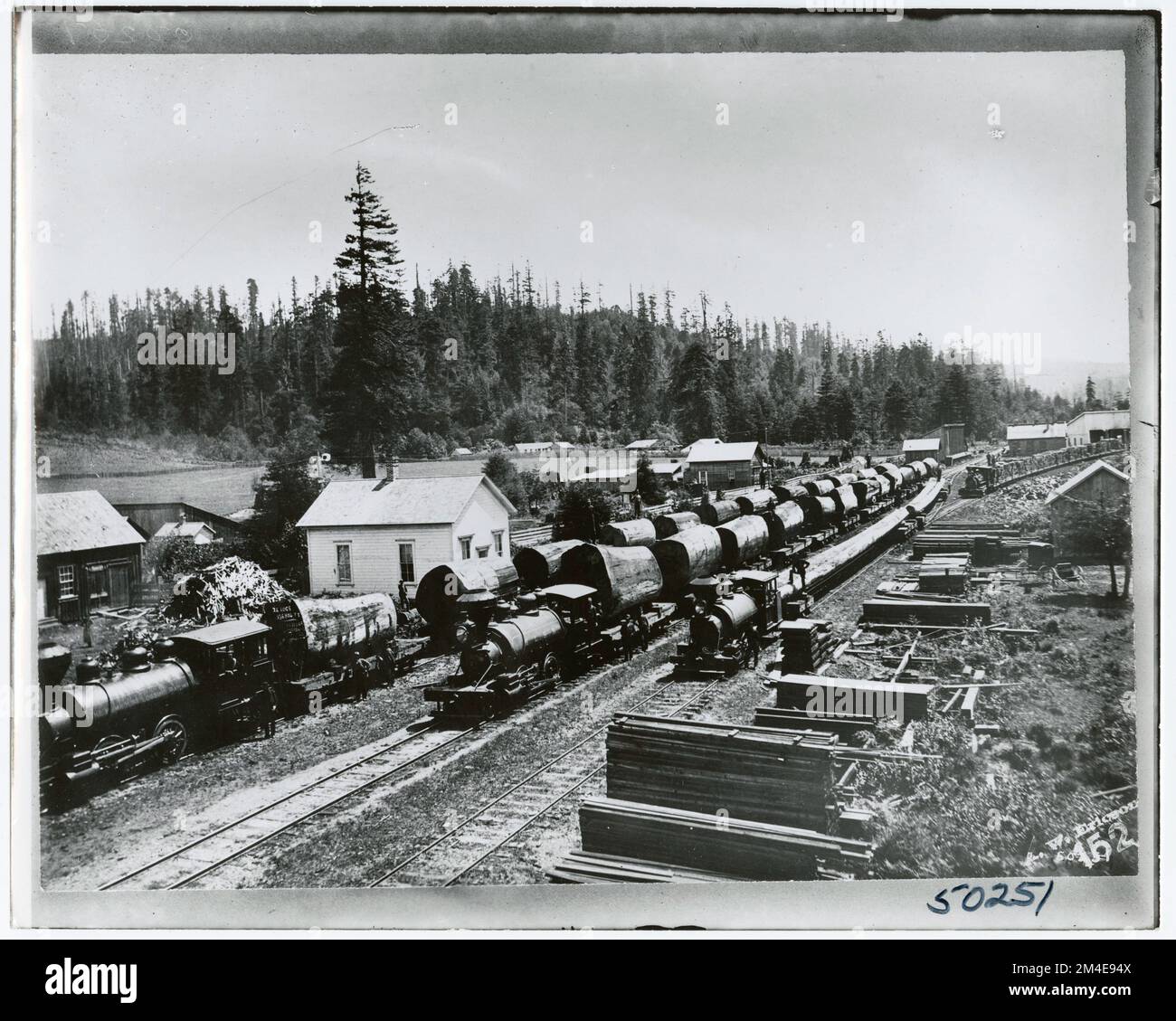 Log Transportation: Logging Railroad. Photographs Relating to National ...