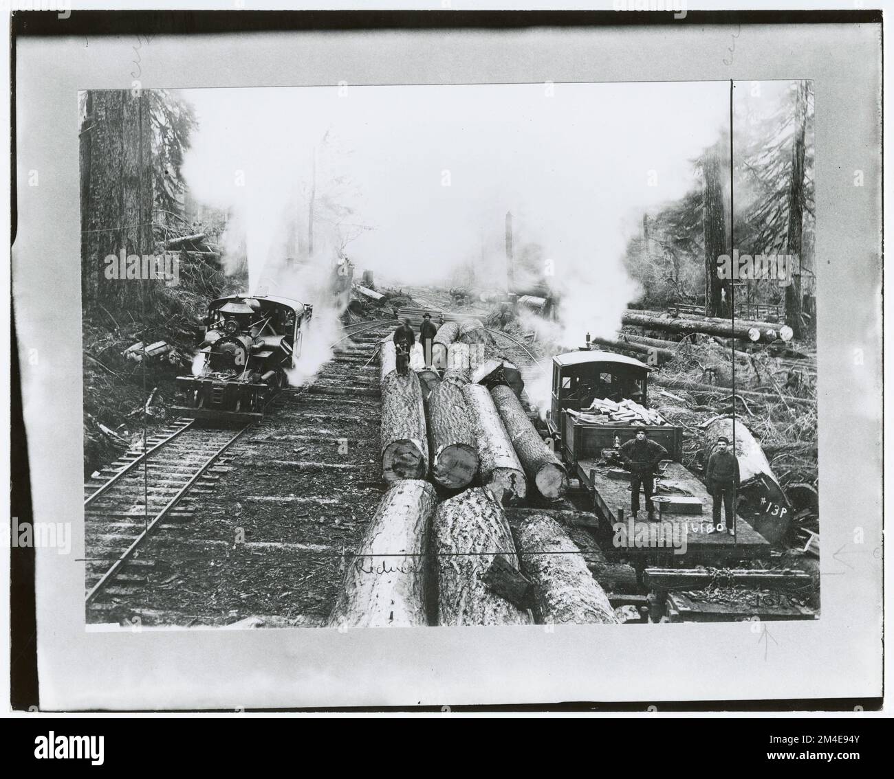 Log Transportation: Rafts/ Rafting. Photographs Relating to National ...