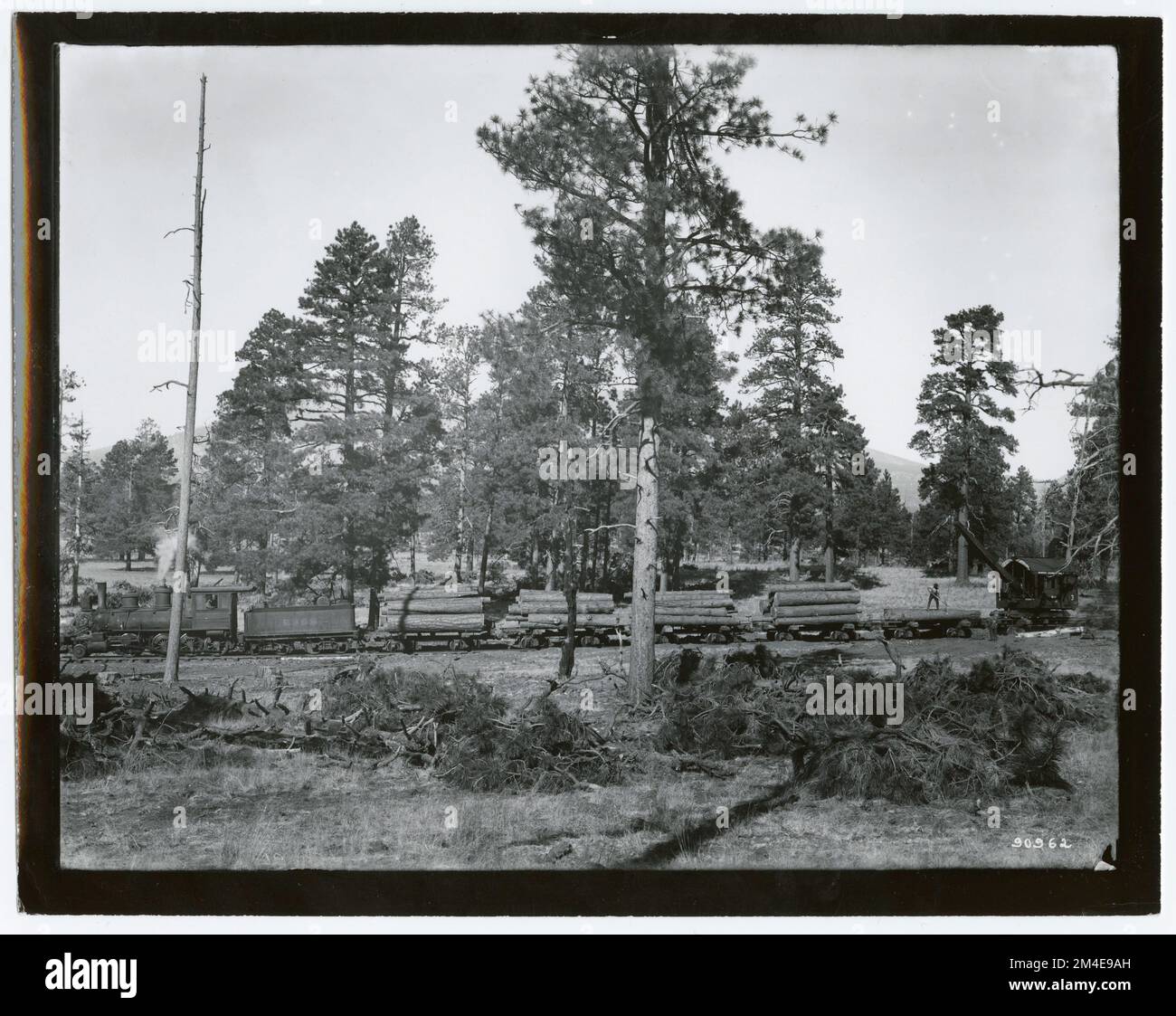 Log Transportation: Rafts/ Rafting. Photographs Relating to National ...