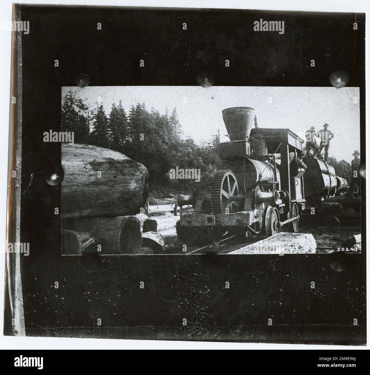 Log Transportation: Logging Railroad. Photographs Relating to National ...