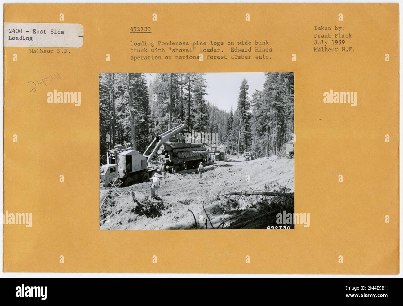 Log Transportation: Logging Railroad. Photographs Relating to National ...