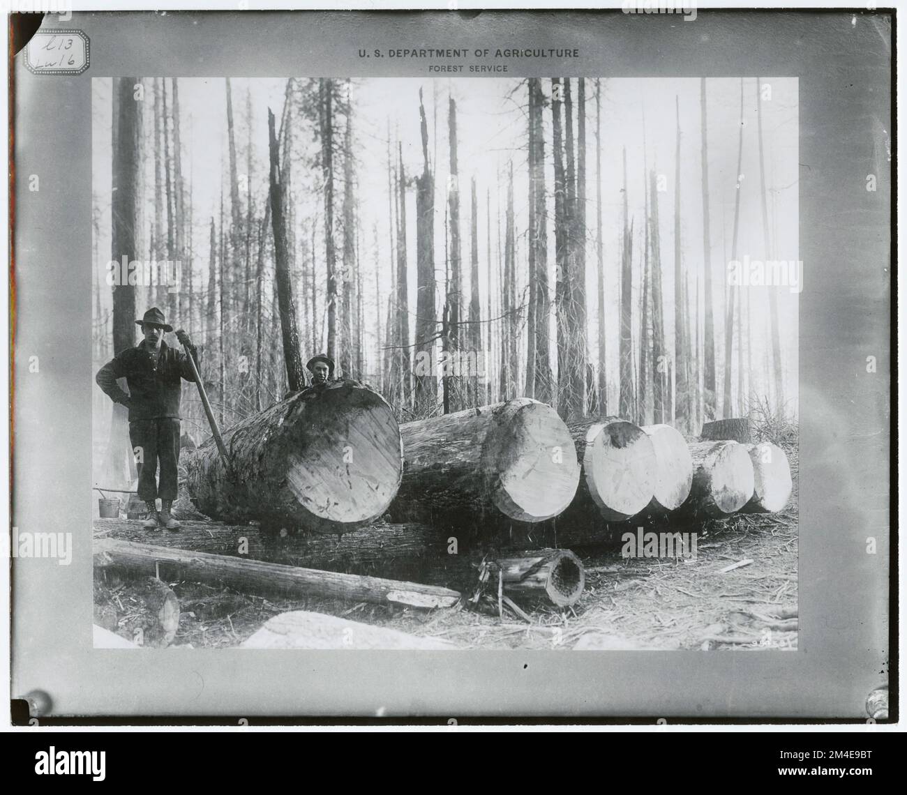 Log Transportation: Truck. Photographs Relating to National Forests ...