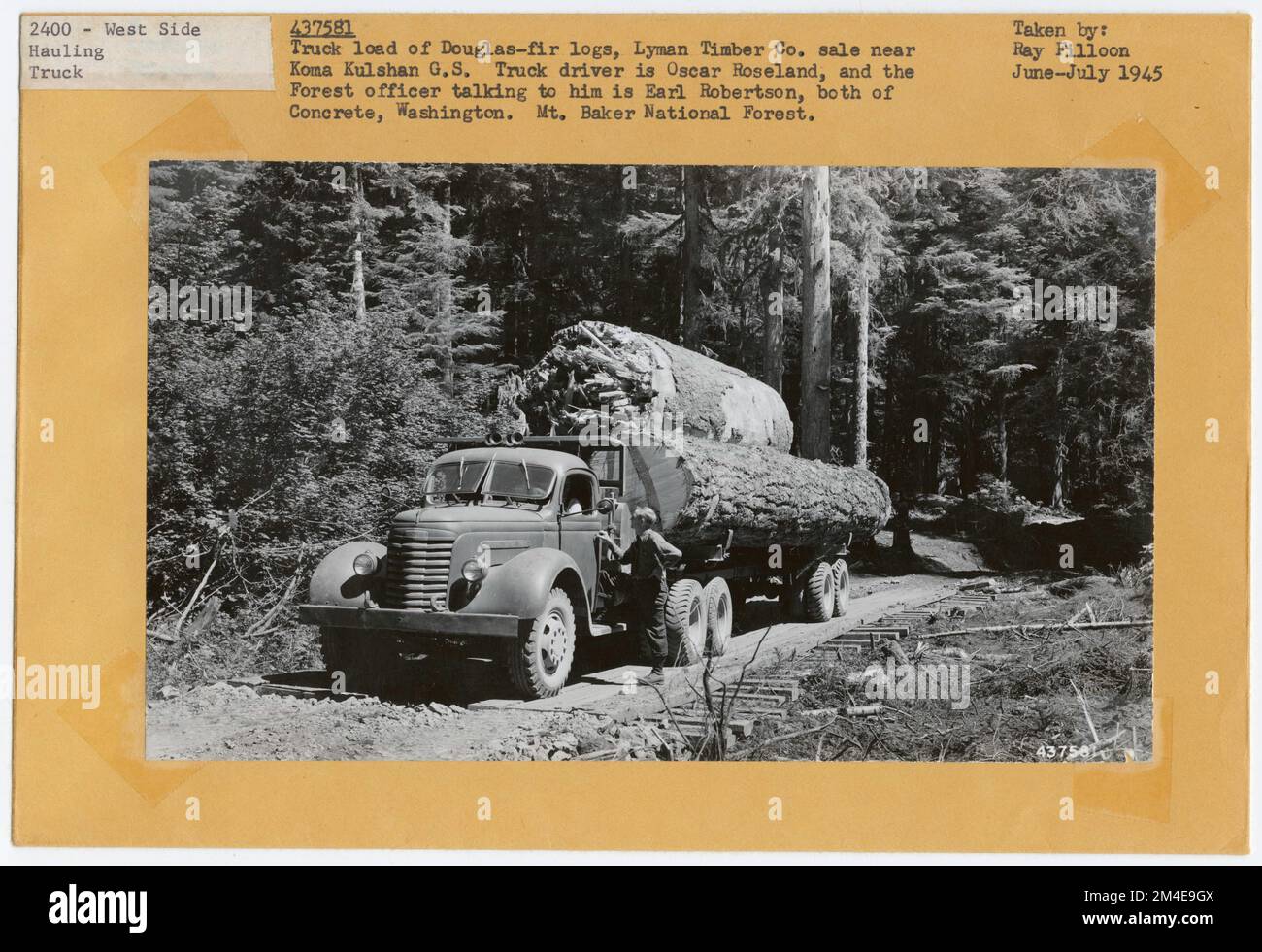 Log Transportation: Logging Railroad. Photographs Relating to National ...
