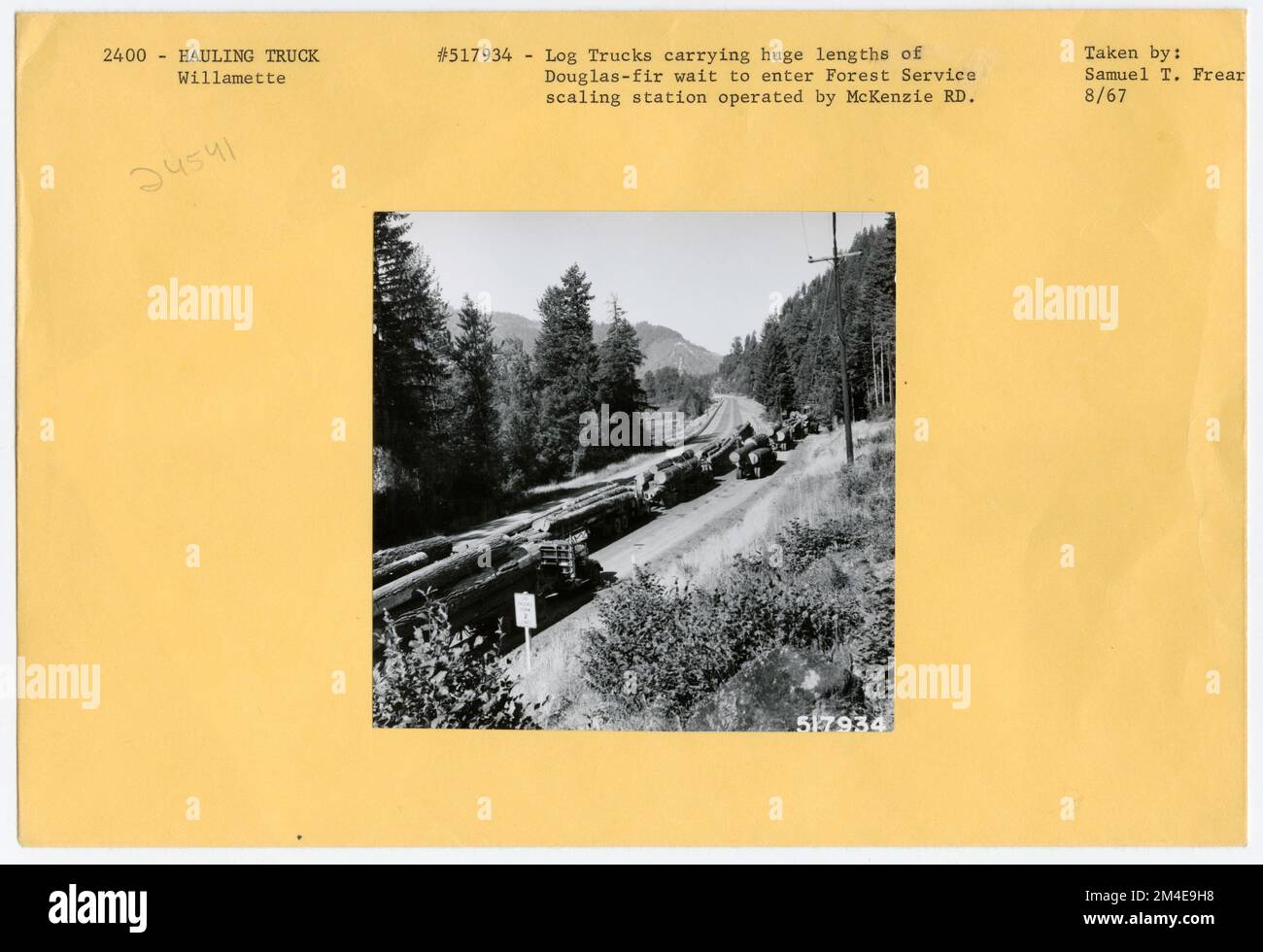 Log Transportation: Logging Railroad. Photographs Relating to National ...