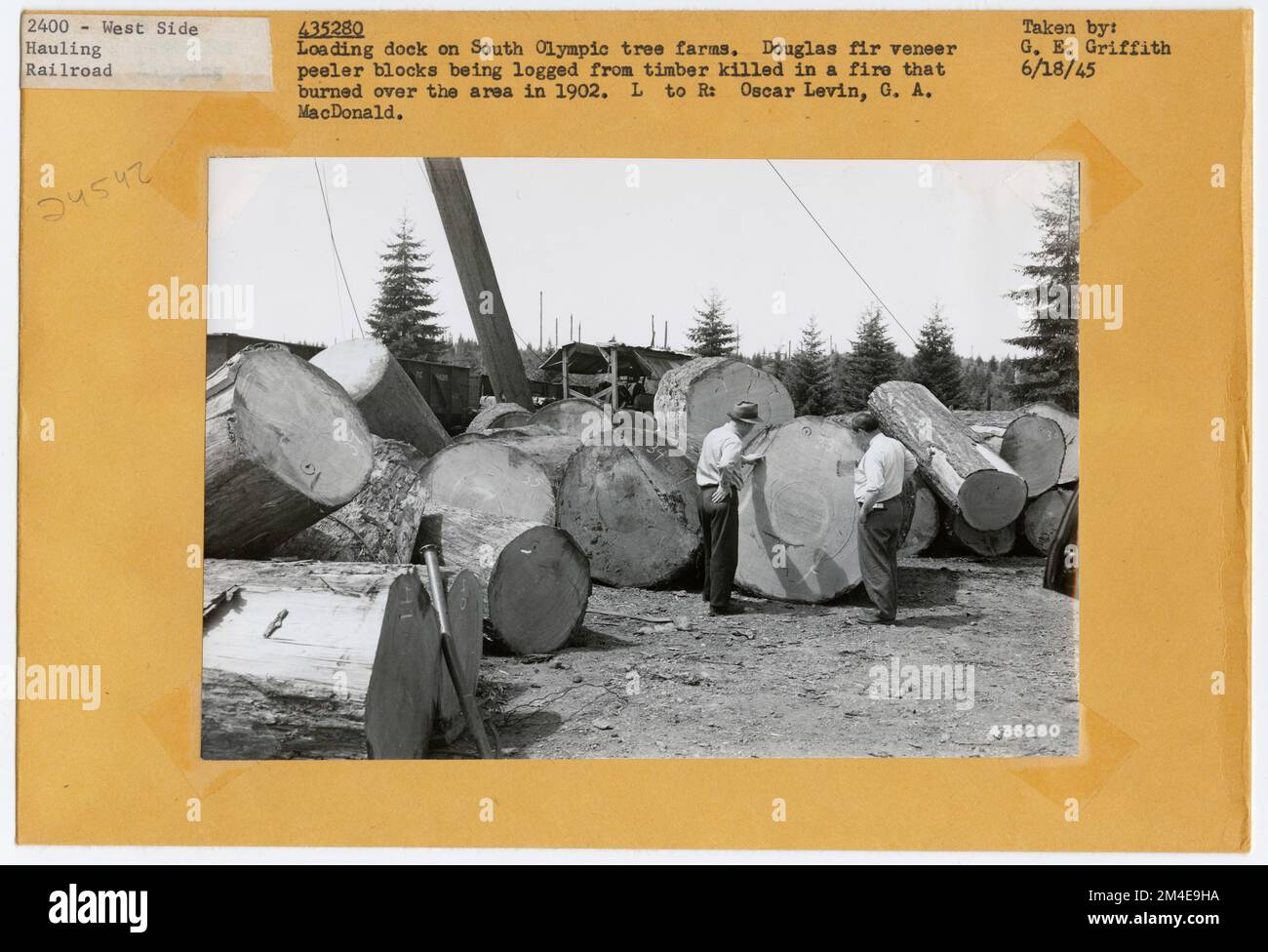 Log Transportation: Logging Railroad. Photographs Relating to National ...