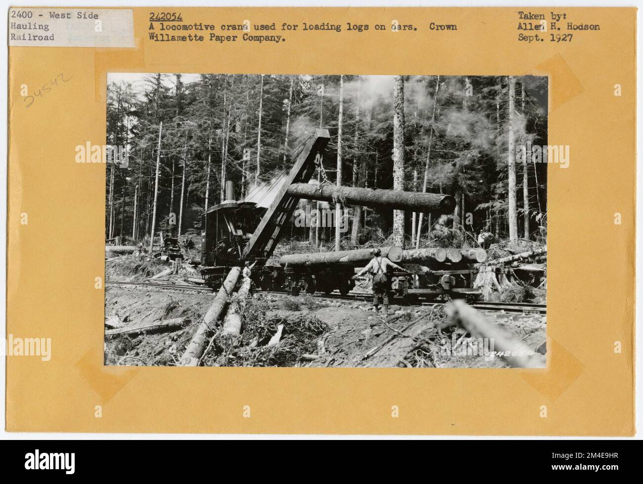 Log Transportation: Logging Railroad. Photographs Relating to National ...