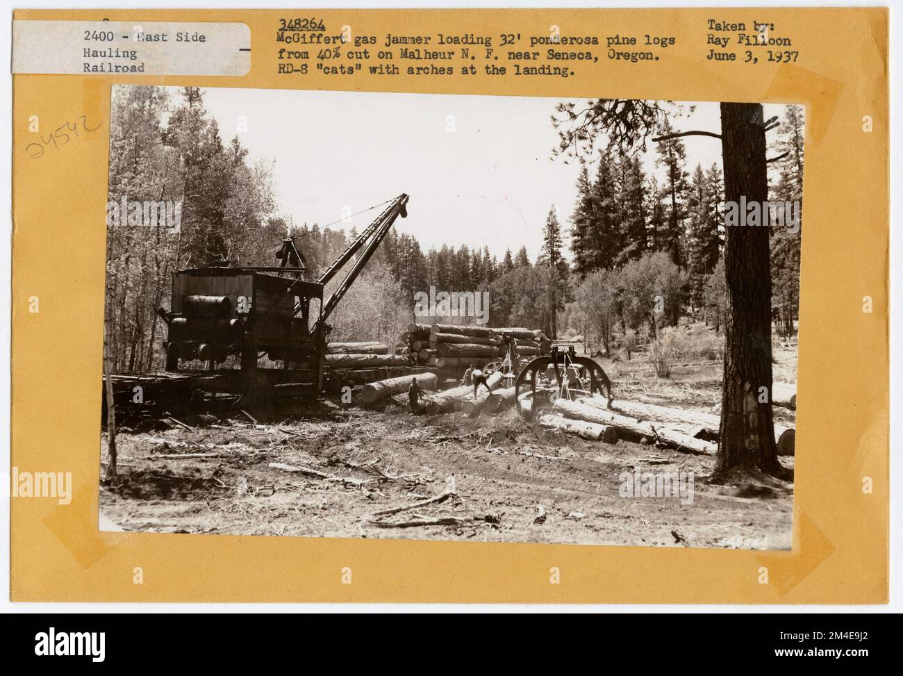 Log Transportation: Logging Railroad. Photographs Relating to National ...