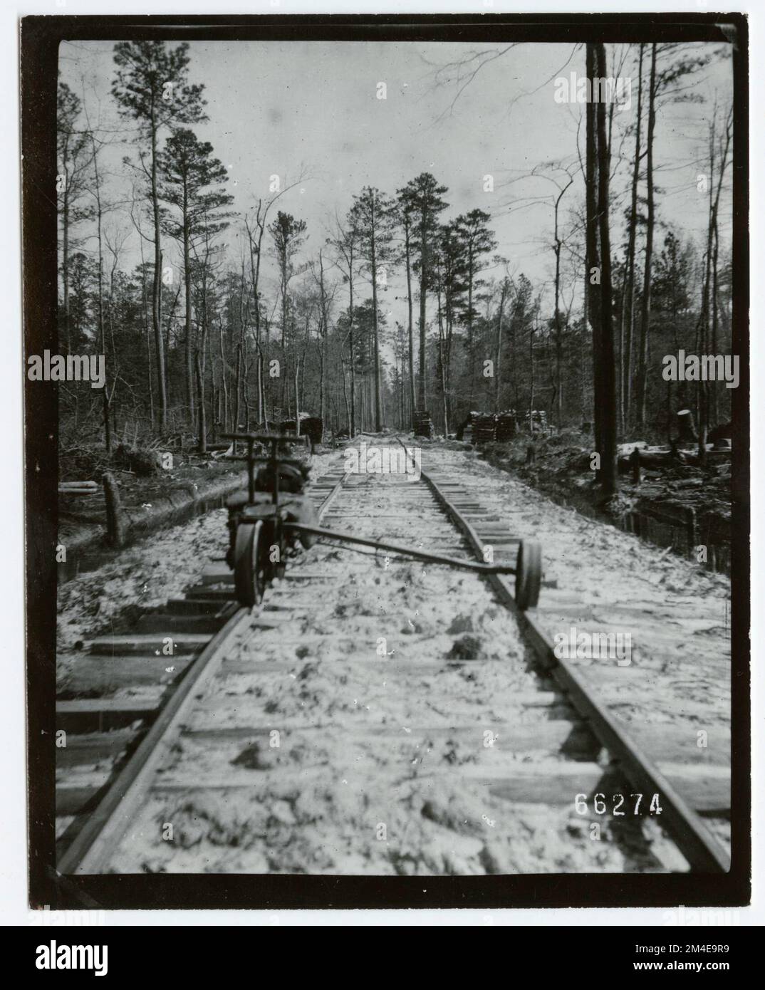 Log Transportation: Logging Railroad. Photographs Relating to National ...
