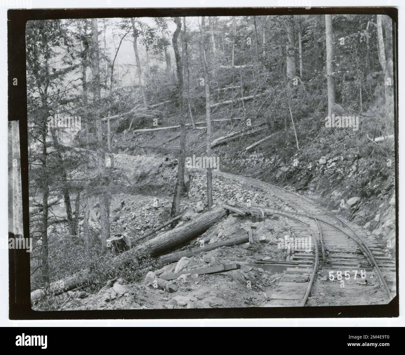 Log Transportation: Logging Railroad. Photographs Relating to National ...