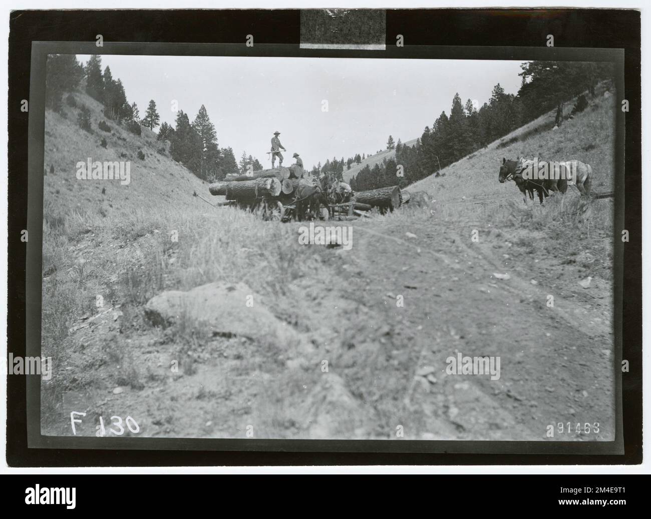 Log Transportation: General. Photographs Relating to National Forests ...