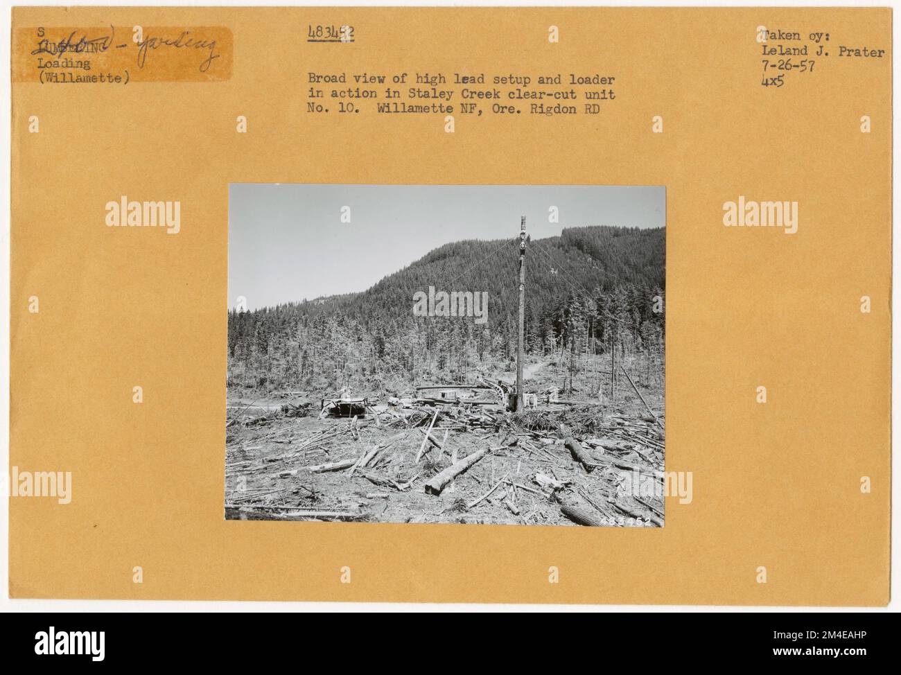 Logging: Falling: General. Photographs Relating to National Forests ...