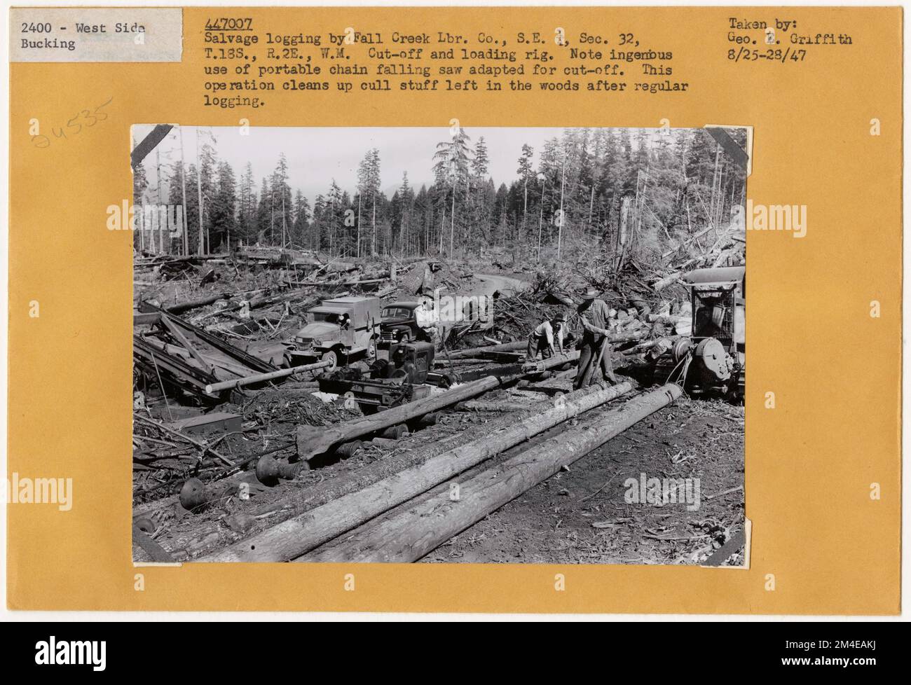 Logging: Falling: General. Photographs Relating to National Forests ...