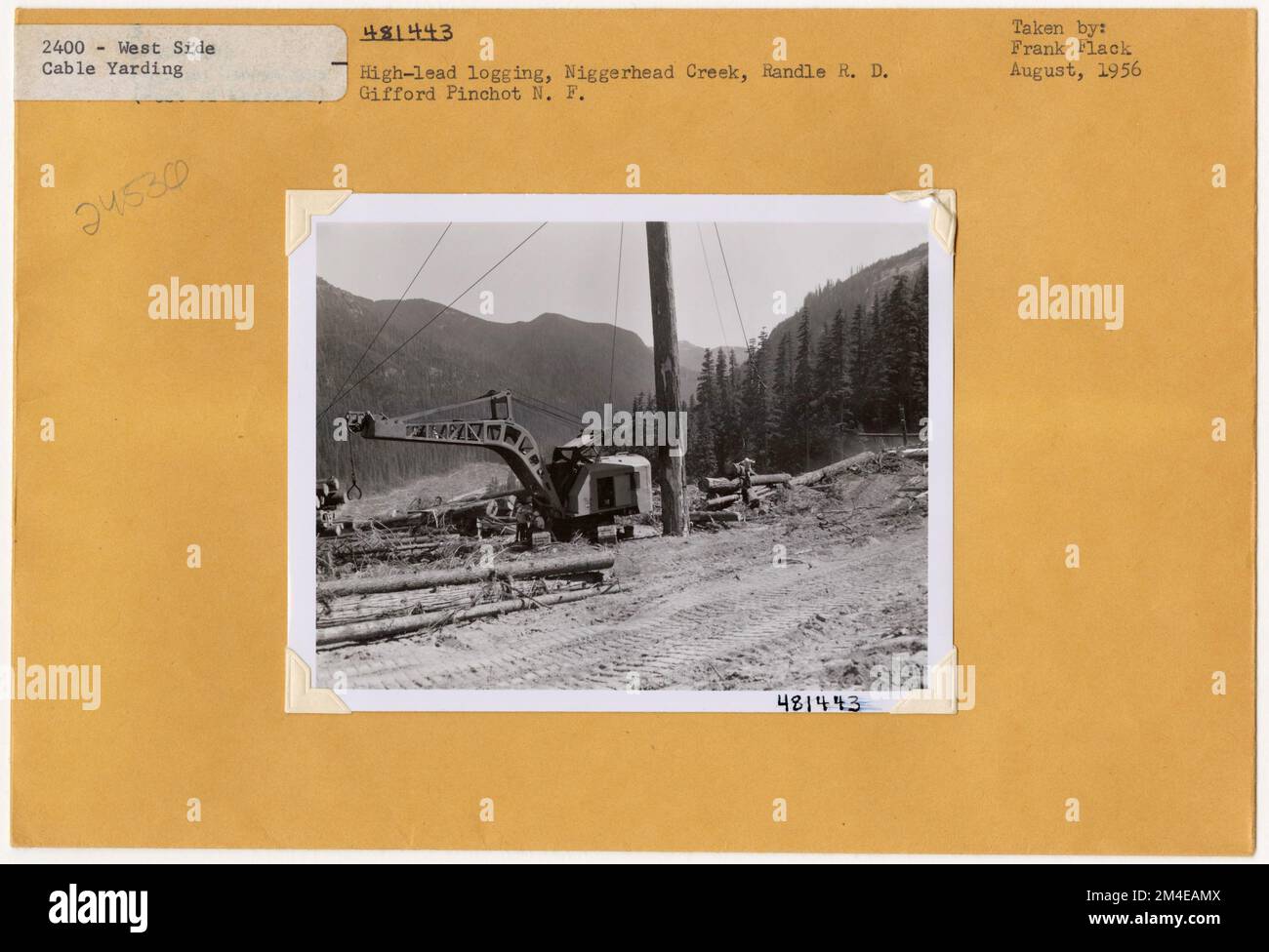 Logging: Falling: General. Photographs Relating to National Forests ...