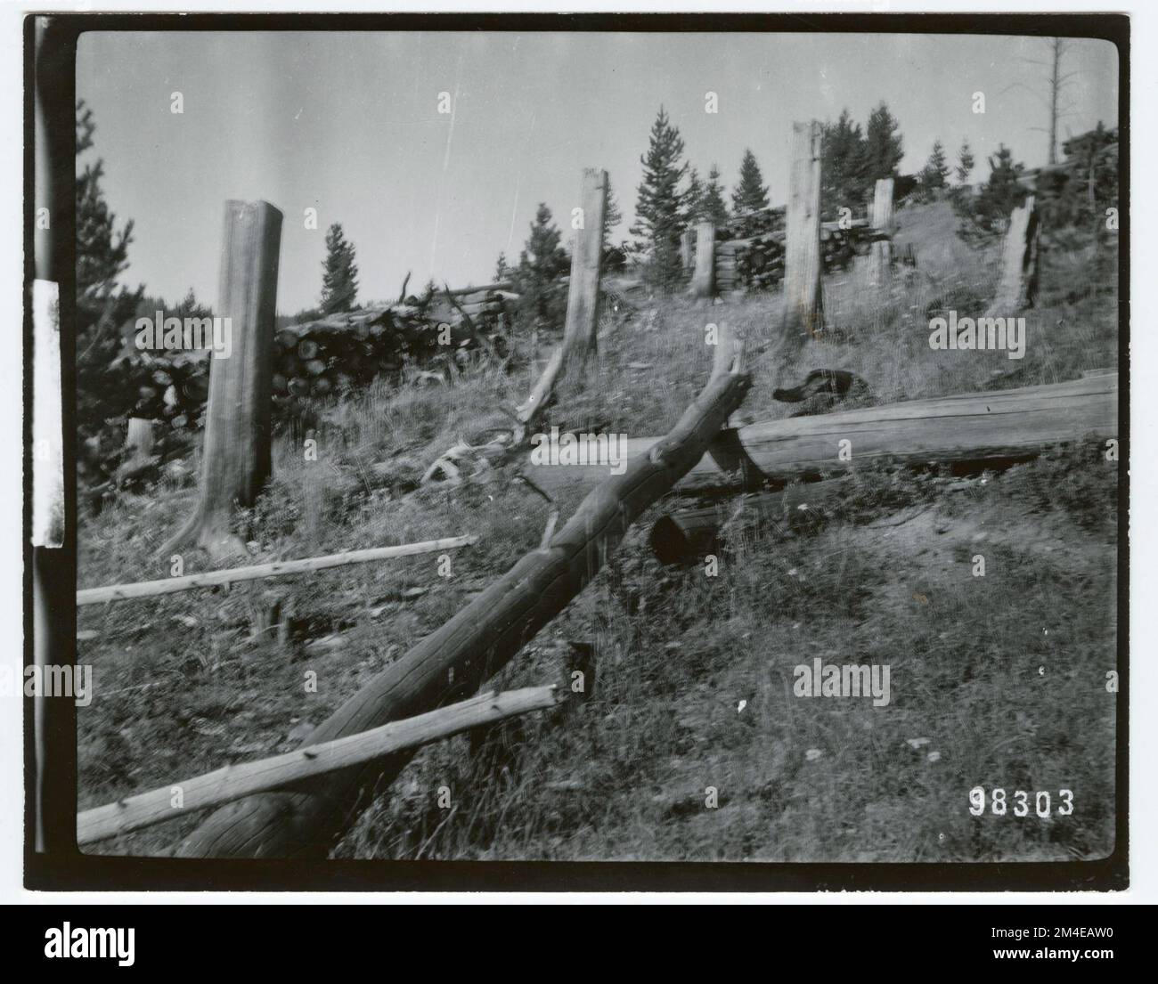 Logging: Bad Practices. Photographs Relating to National Forests ...