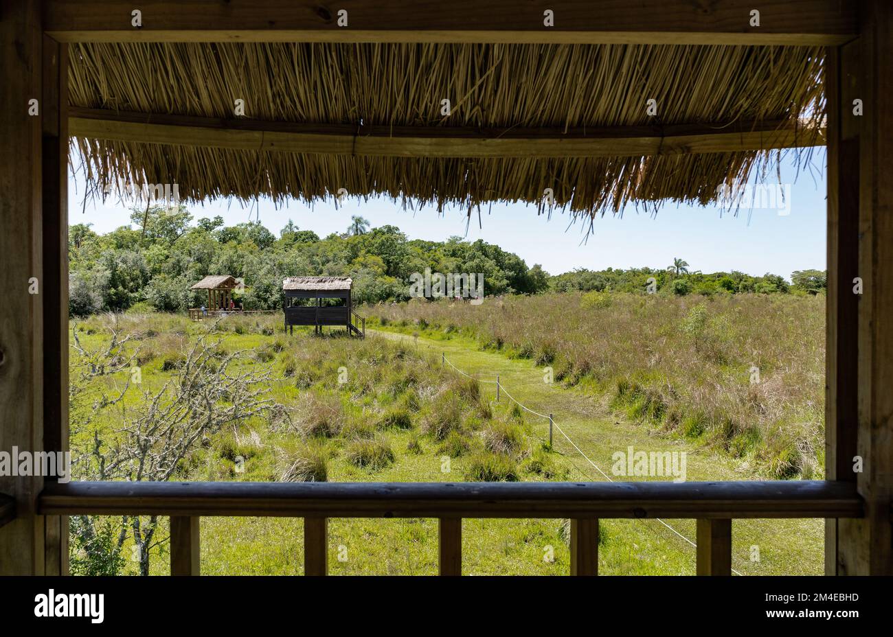 Ibera wetlands reframing hi-res stock photography and images - Alamy