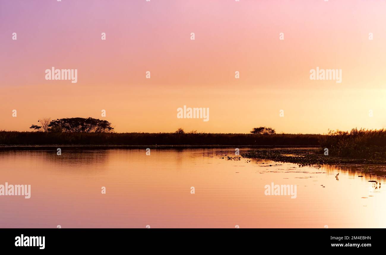 Amazing landscape of Ibera Provincial Park with grassland, trees and ...
