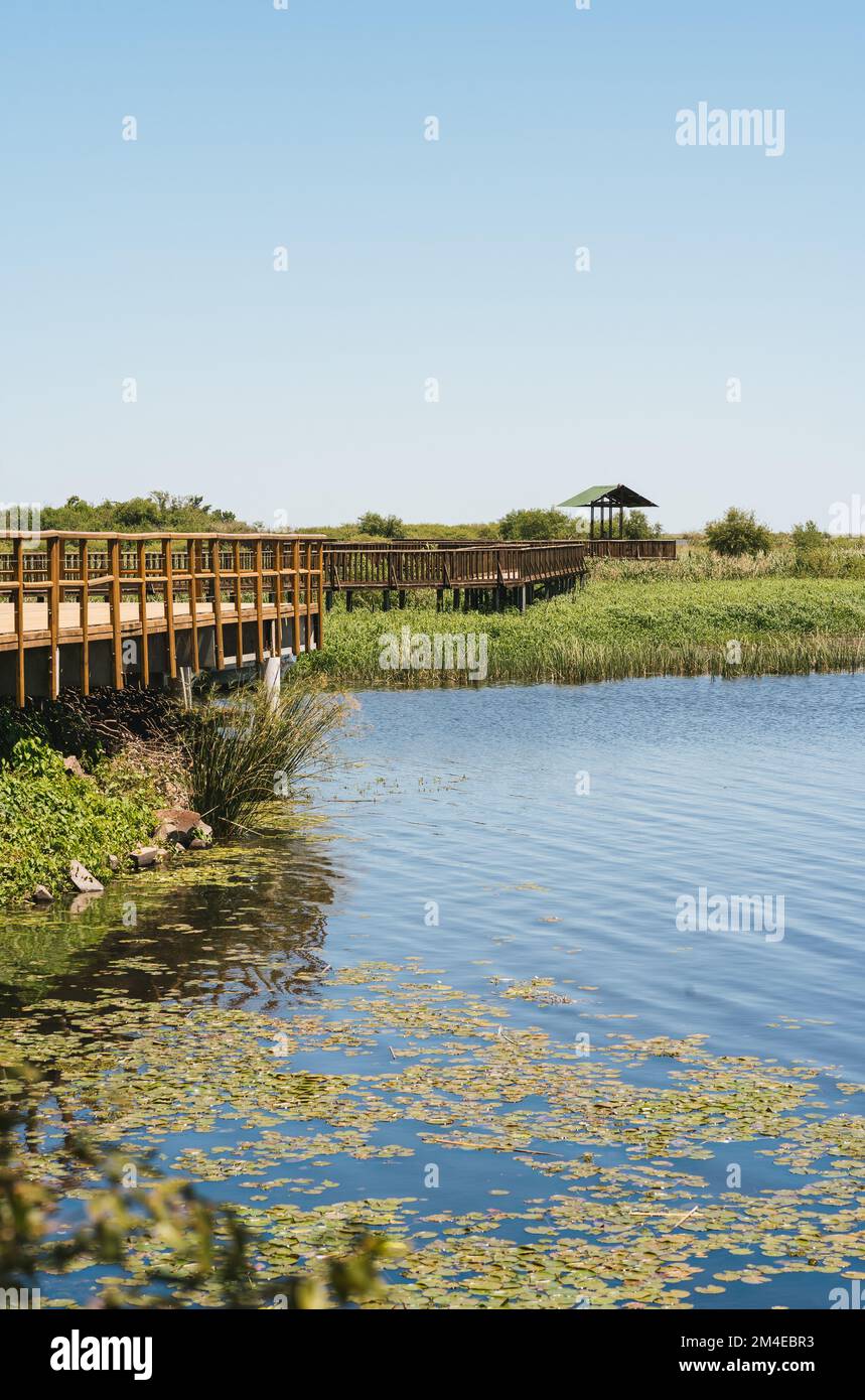 Beautiful vertical landscape of Ibera Provincial Park with wooden ...