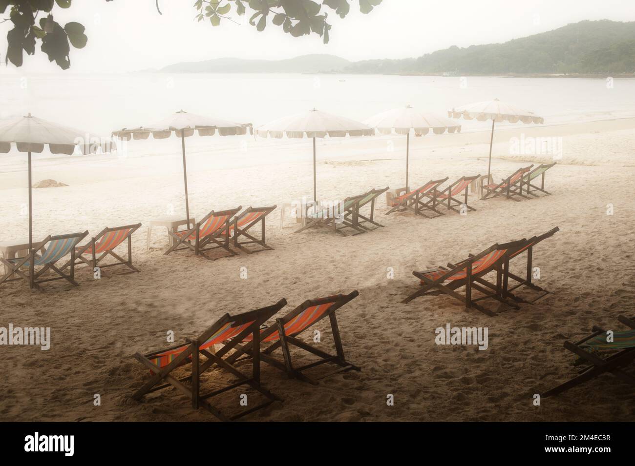 Umbrellas and bed rest on the beach Stock Photo - Alamy